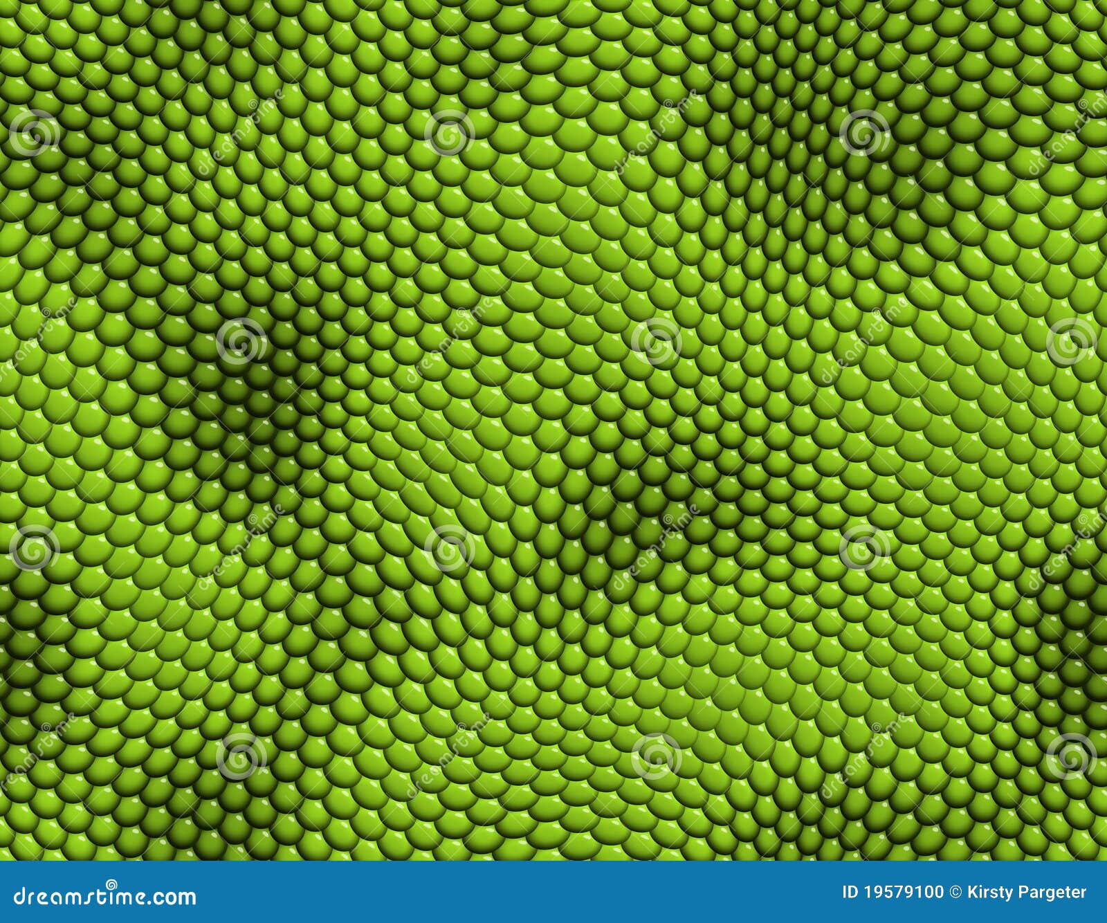 De huid van de hagedis stock illustratie. Illustration of schalen ...