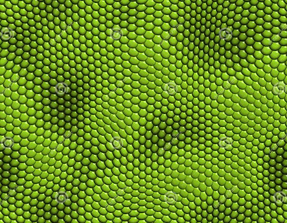 De huid van de hagedis stock illustratie. Illustration of schalen ...