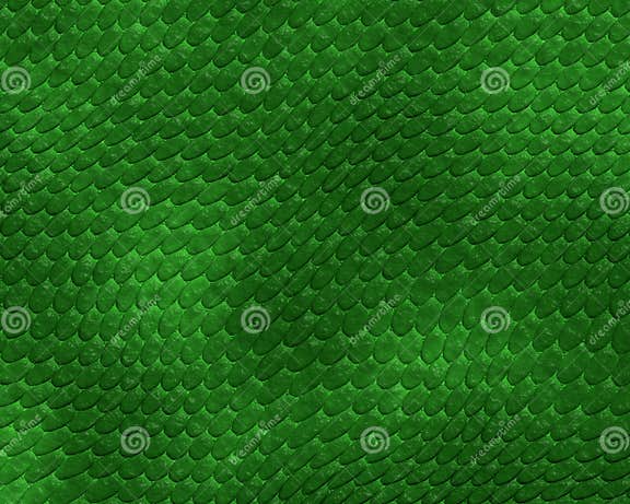 De huid van de hagedis stock illustratie. Illustration of samenvatting ...