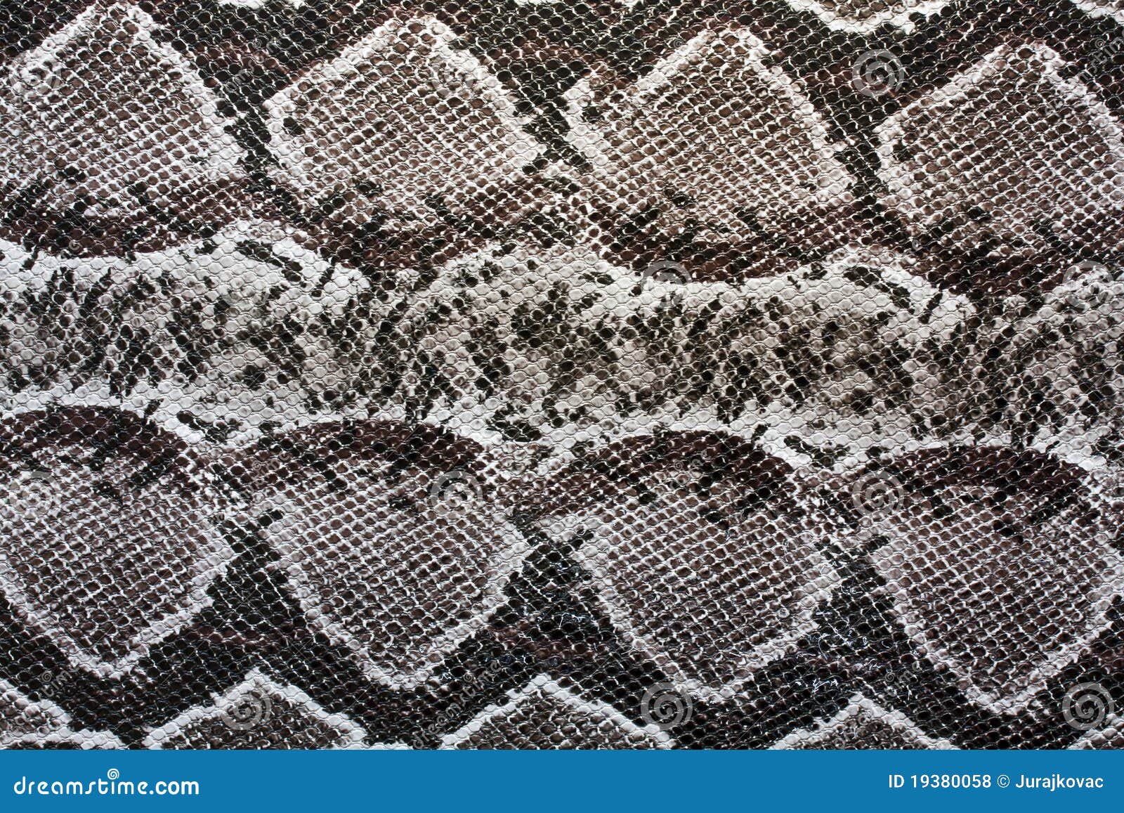 De huid van de slang stock foto. Image of glijden, beperken - 19380058