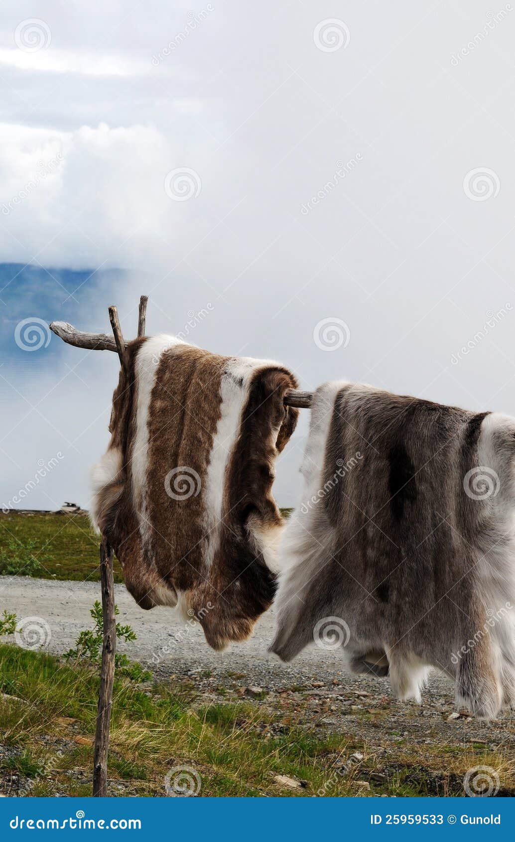 De huid van het rendier stock afbeelding. Image of lagen - 25959533