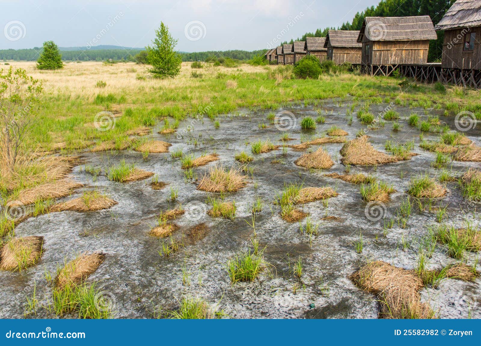 De Huizen Van De Spleet Door Moeras Stock Foto - Image of nave ...
