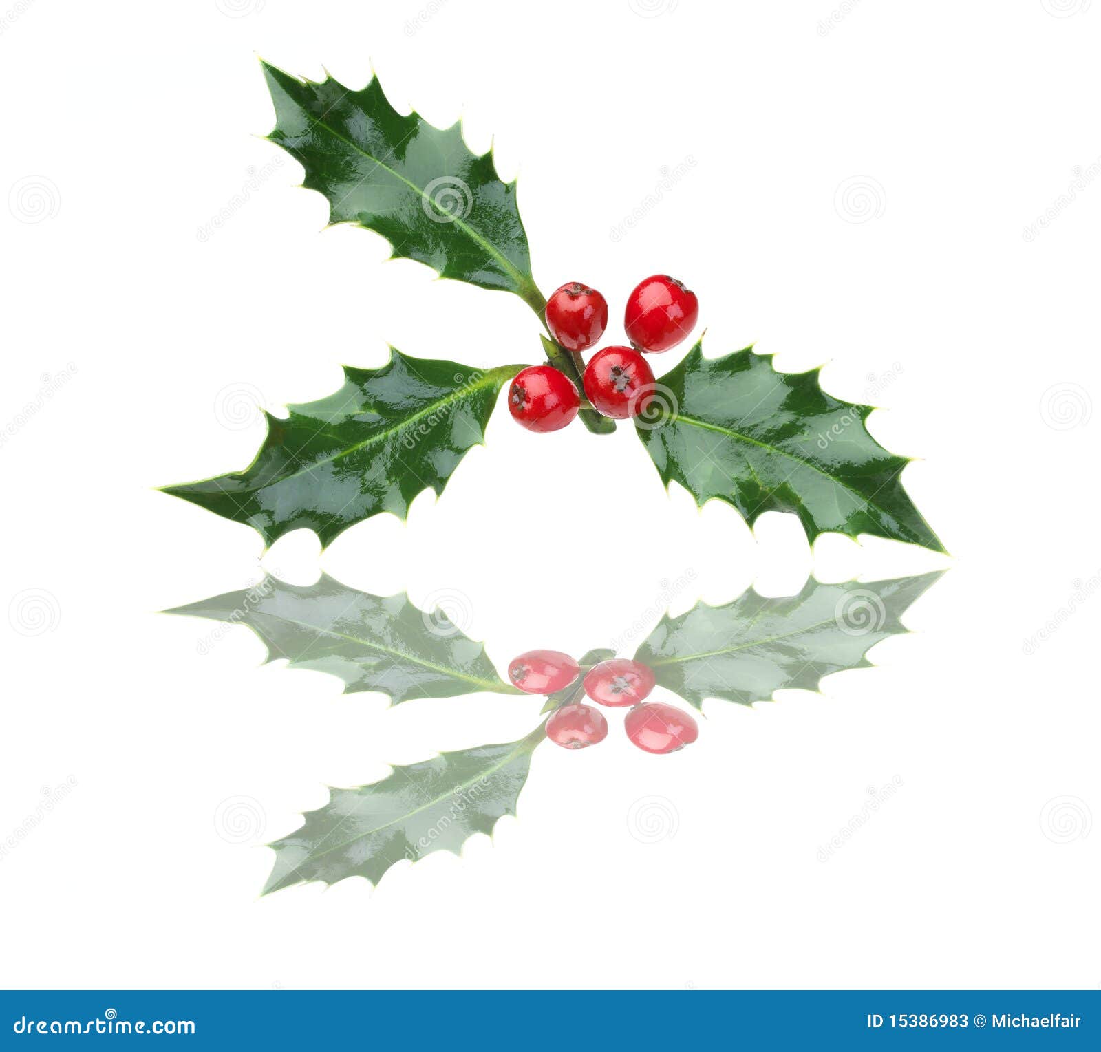 De Hulst Van Kerstmis En Rode Bessen Met Bezinning Stock Afbeelding ...