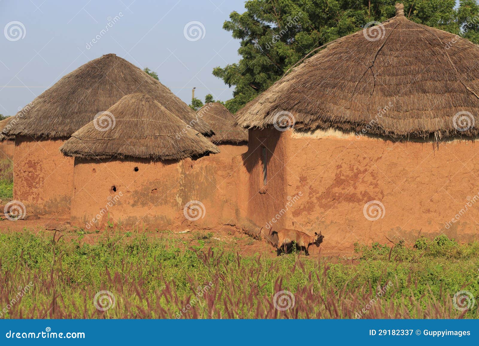 De Hutten En De Geit Van De Modder Stock Afbeelding - Image of land ...