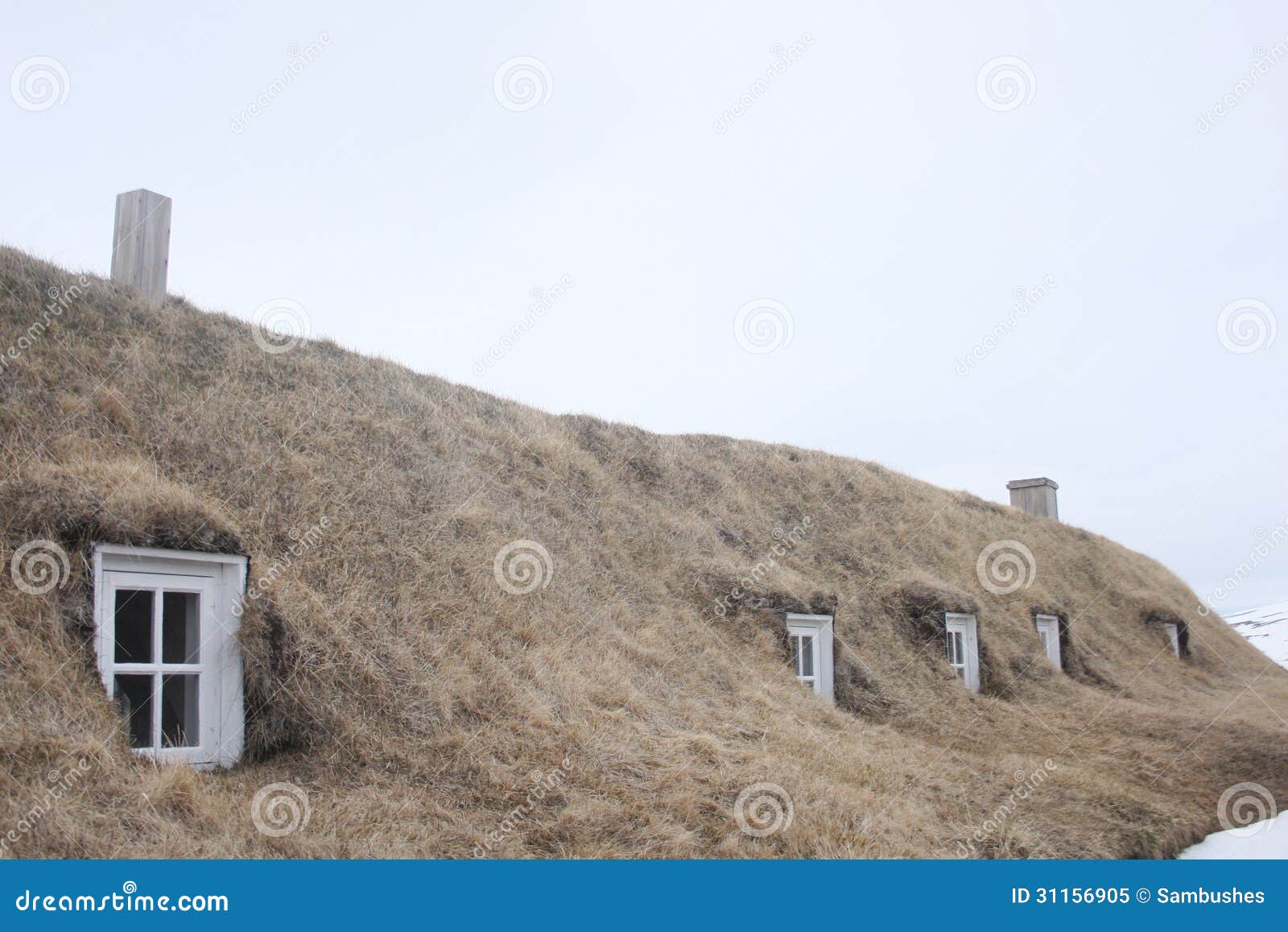 De Ijslandse Vensters Van Het Grashuis Stock Afbeelding - Image of ...