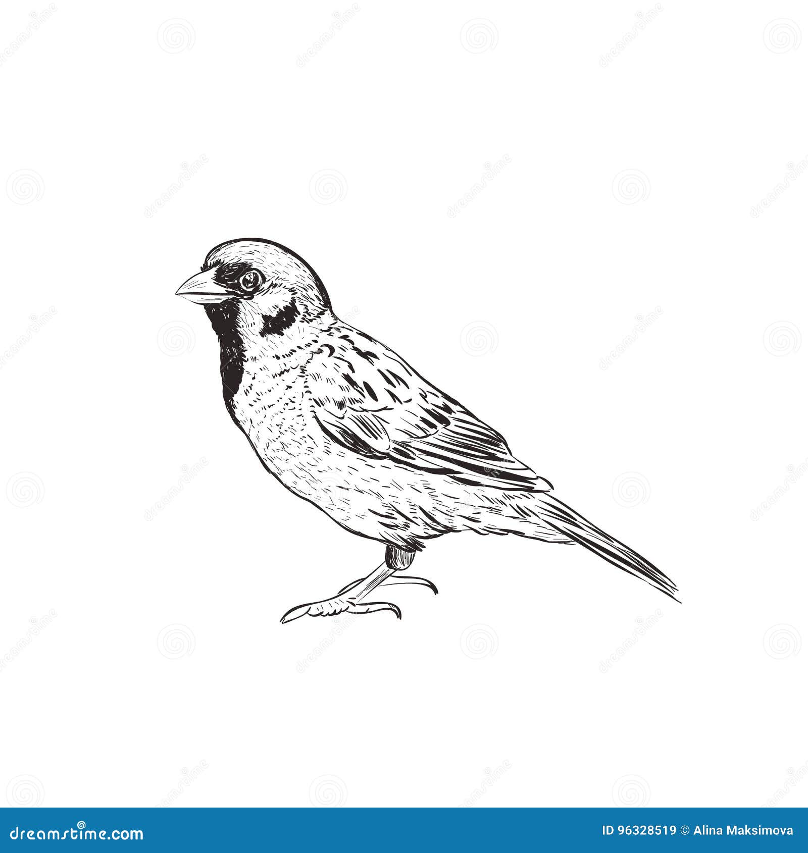 De Illustratie Van De Musschets De Schets Van De Handtekening Vector ...