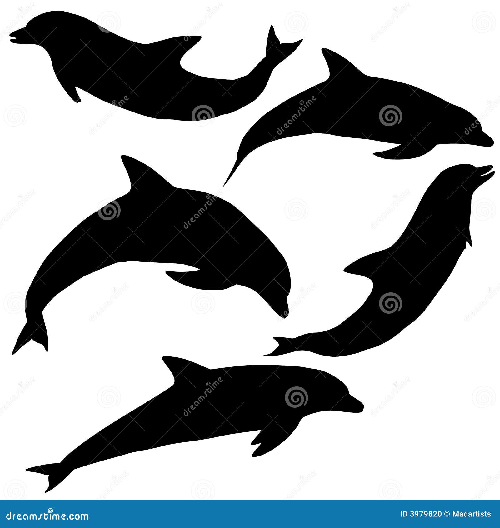 De Illustratie Van De Vectoren Van De Dolfijn Vector Illustratie ...