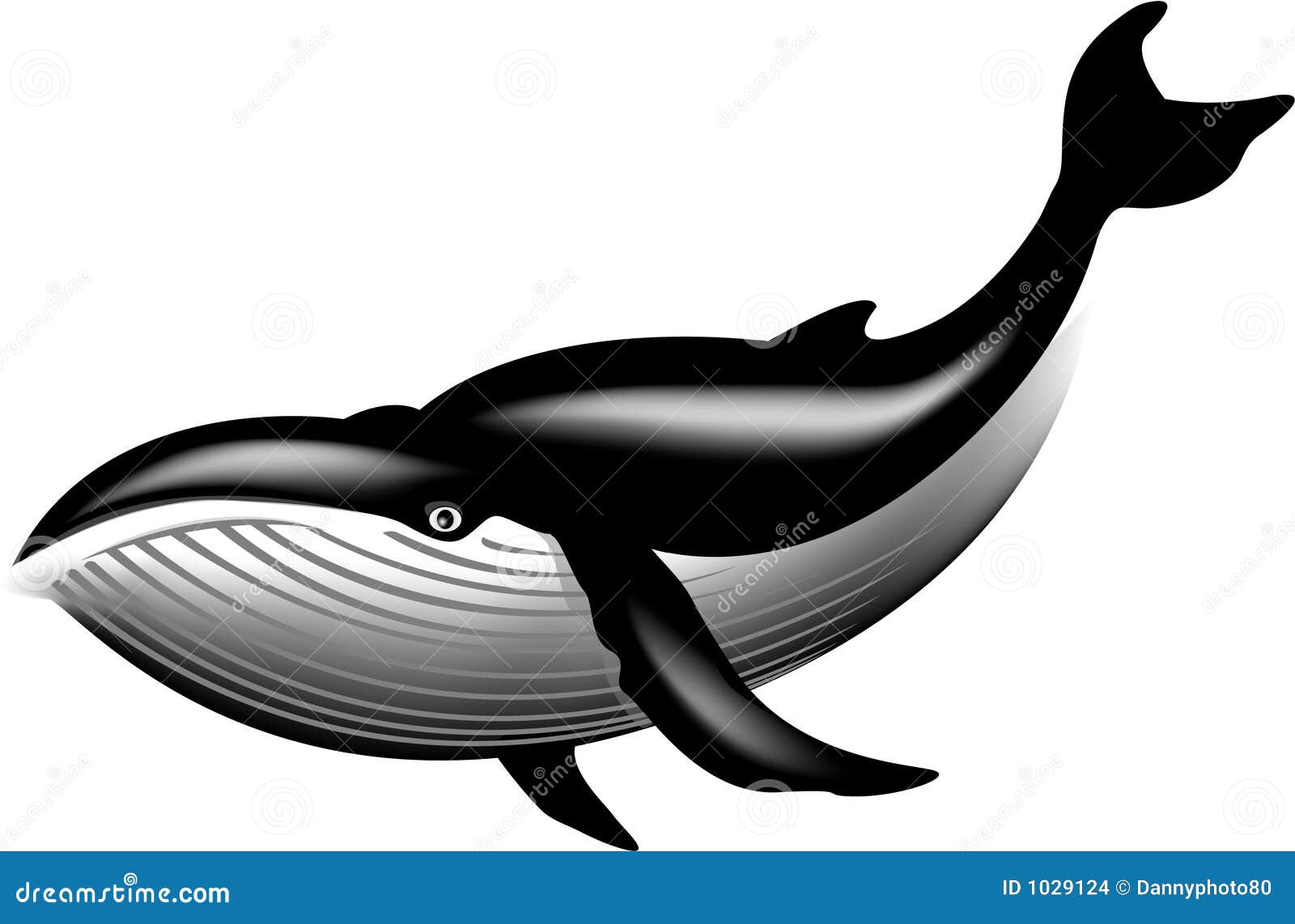 De Illustratie Van De Walvis Stock Illustratie - Illustration of ...