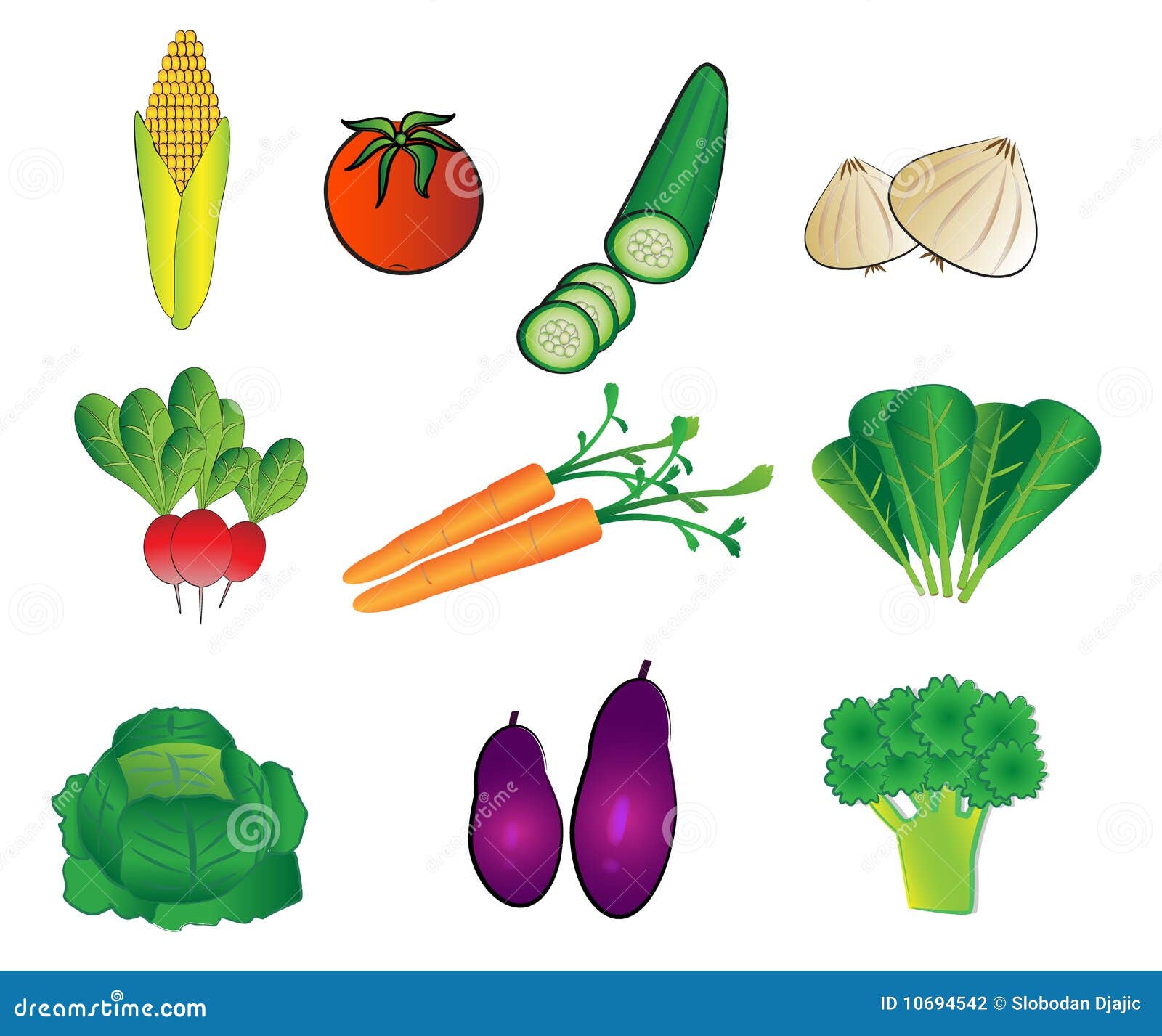 De Illustraties Van Groenten Vector Illustratie - Illustration of ...