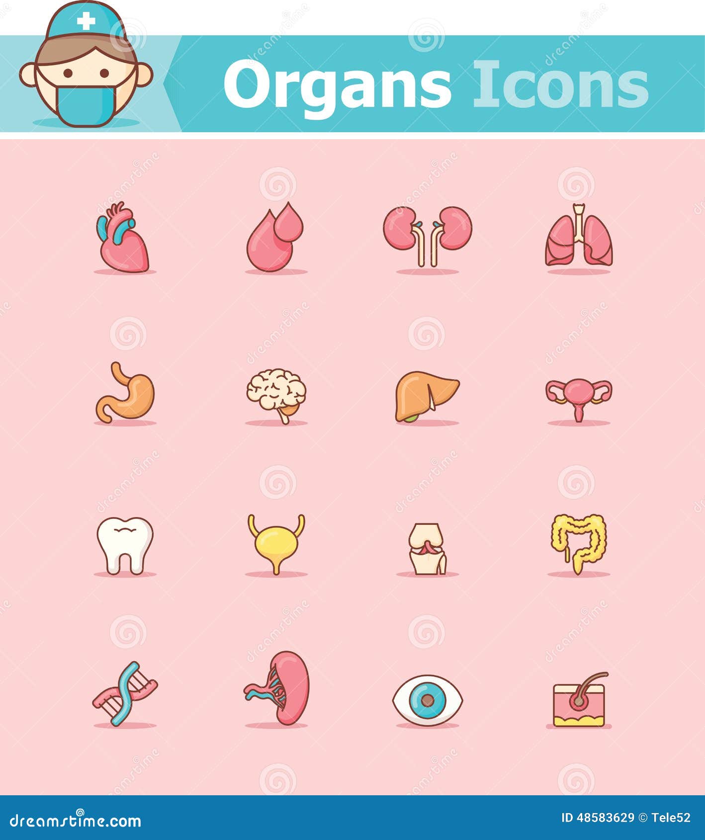 De Interne Reeks Van Het Organenpictogram Vector Illustratie ...