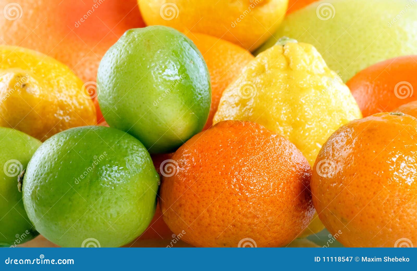 De Inzameling Van De Citrusvrucht Stock Afbeelding - Image of ...