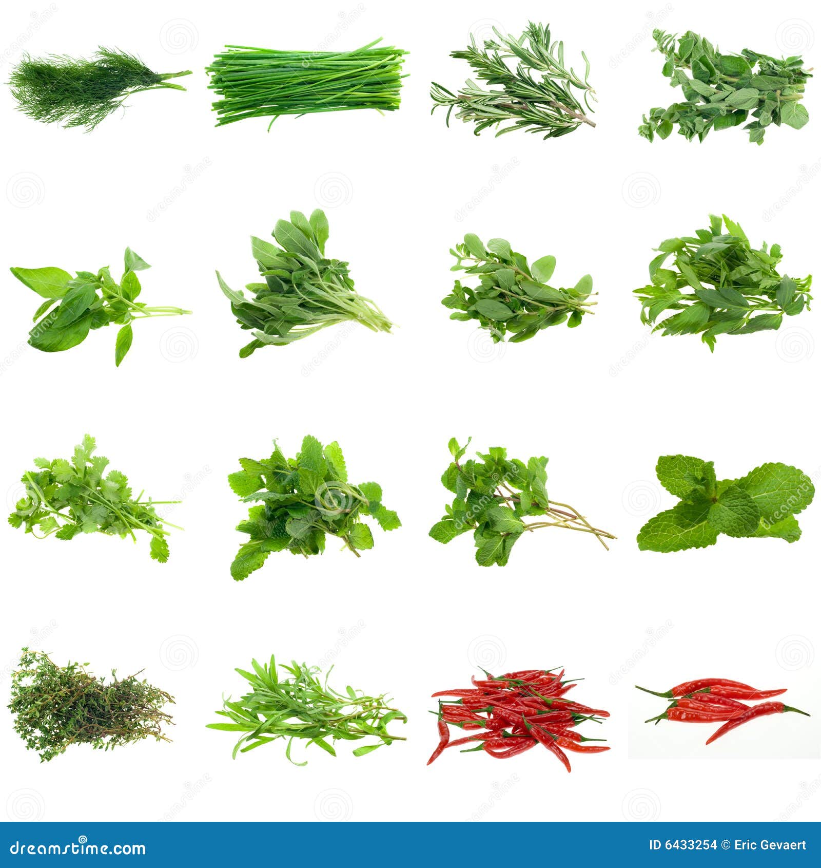 De Inzameling van kruiden stock foto. Image of aroma, inzameling - 6433254