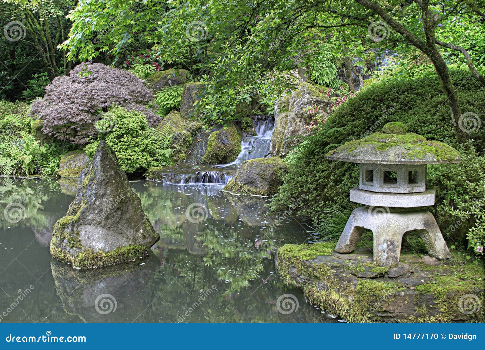 De Japanse Vijver Van De Tuin Stock Foto - Image of rotsen, struiken ...