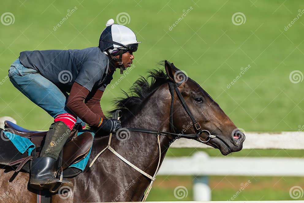 De Jockey Training Closeup Van Het Raspaard Redactionele Foto - Image ...