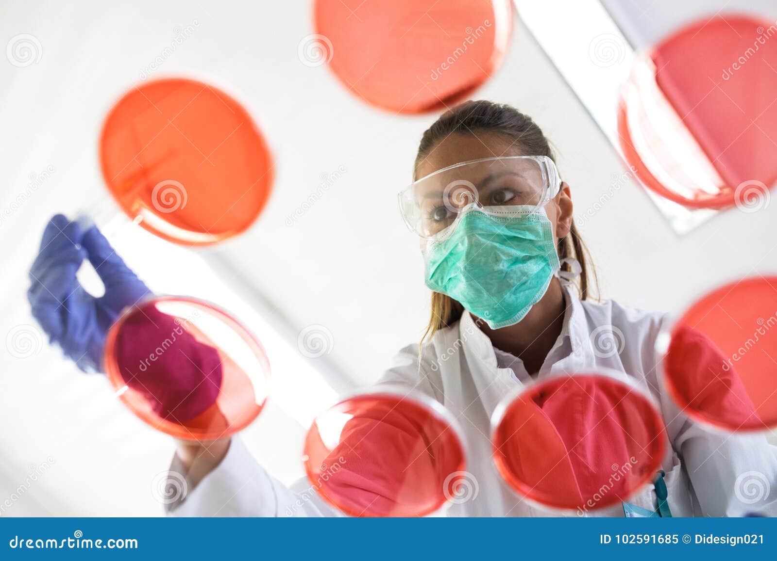 De Jonge Wetenschapper Zet Steekproef Met Pipet Stock Afbeelding ...