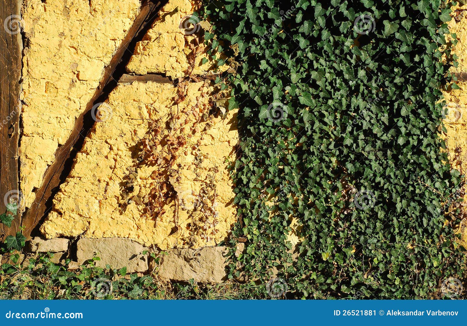 De Kader-bouwstijl Van De Adobe Muur Stock Afbeelding - Image of flora ...