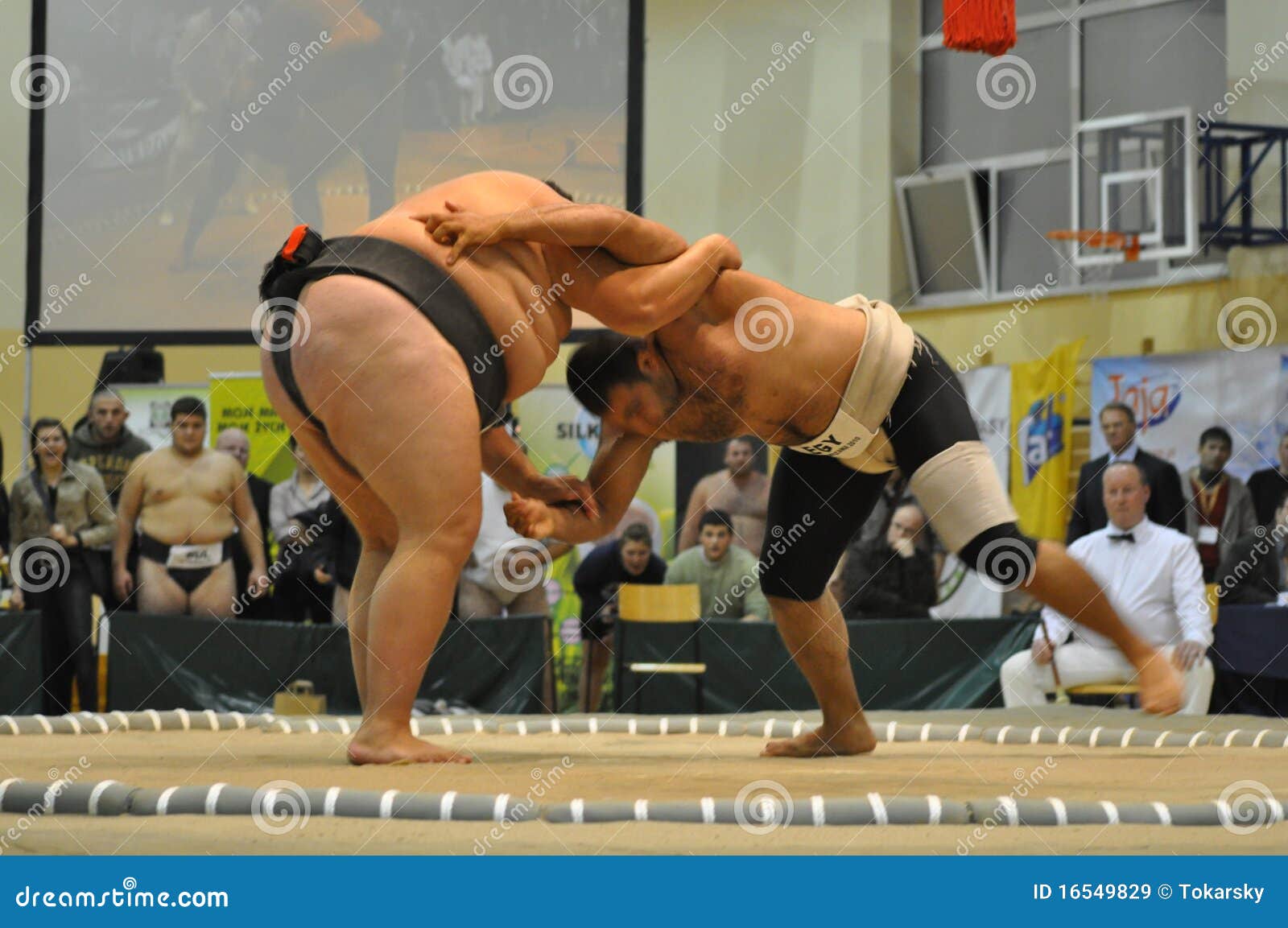 De Kampioenschappen Van Sumo Redactionele Stock Afbeelding - Image of ...