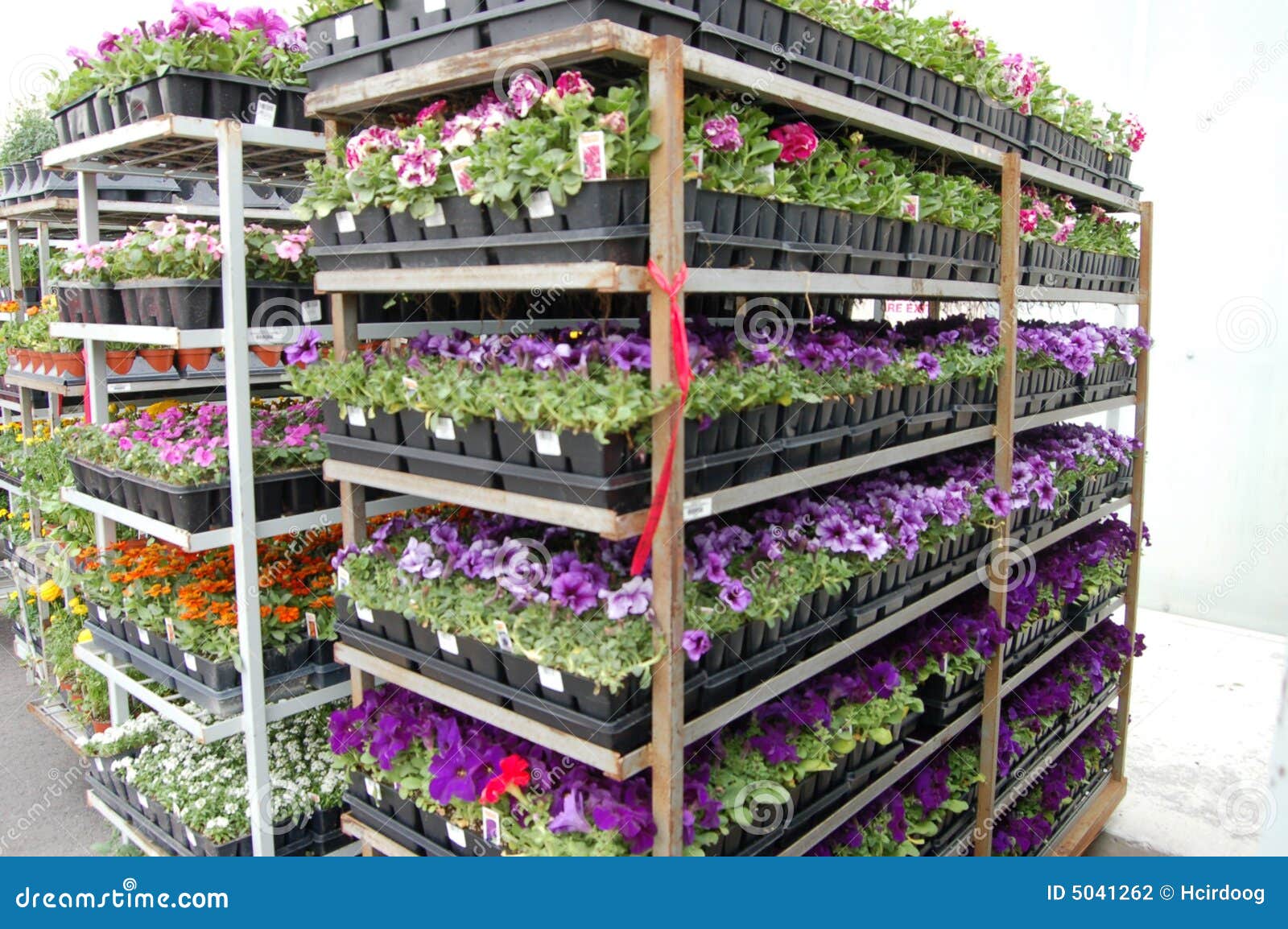 De karren van de bloem stock foto. Image of blad, tuin - 5041262