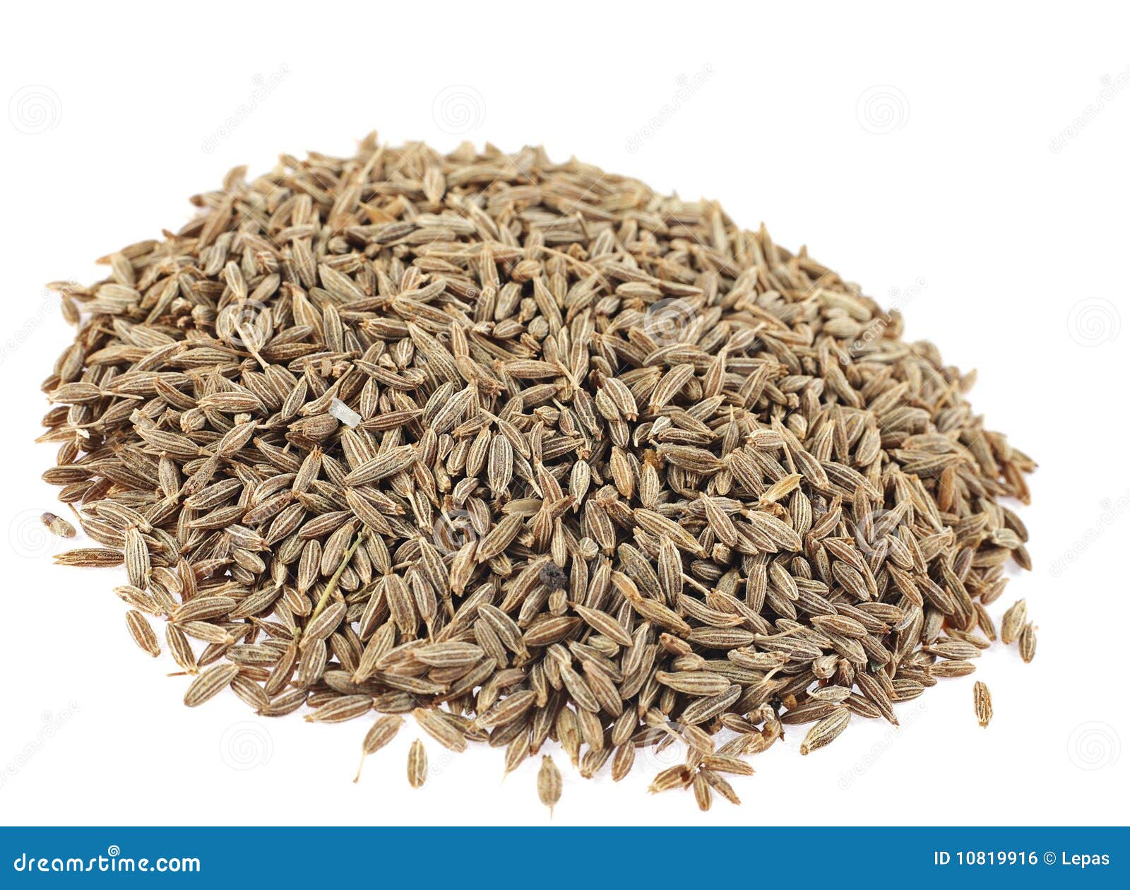 De karwij van het kruid stock foto. Image of ingrediënt - 10819916