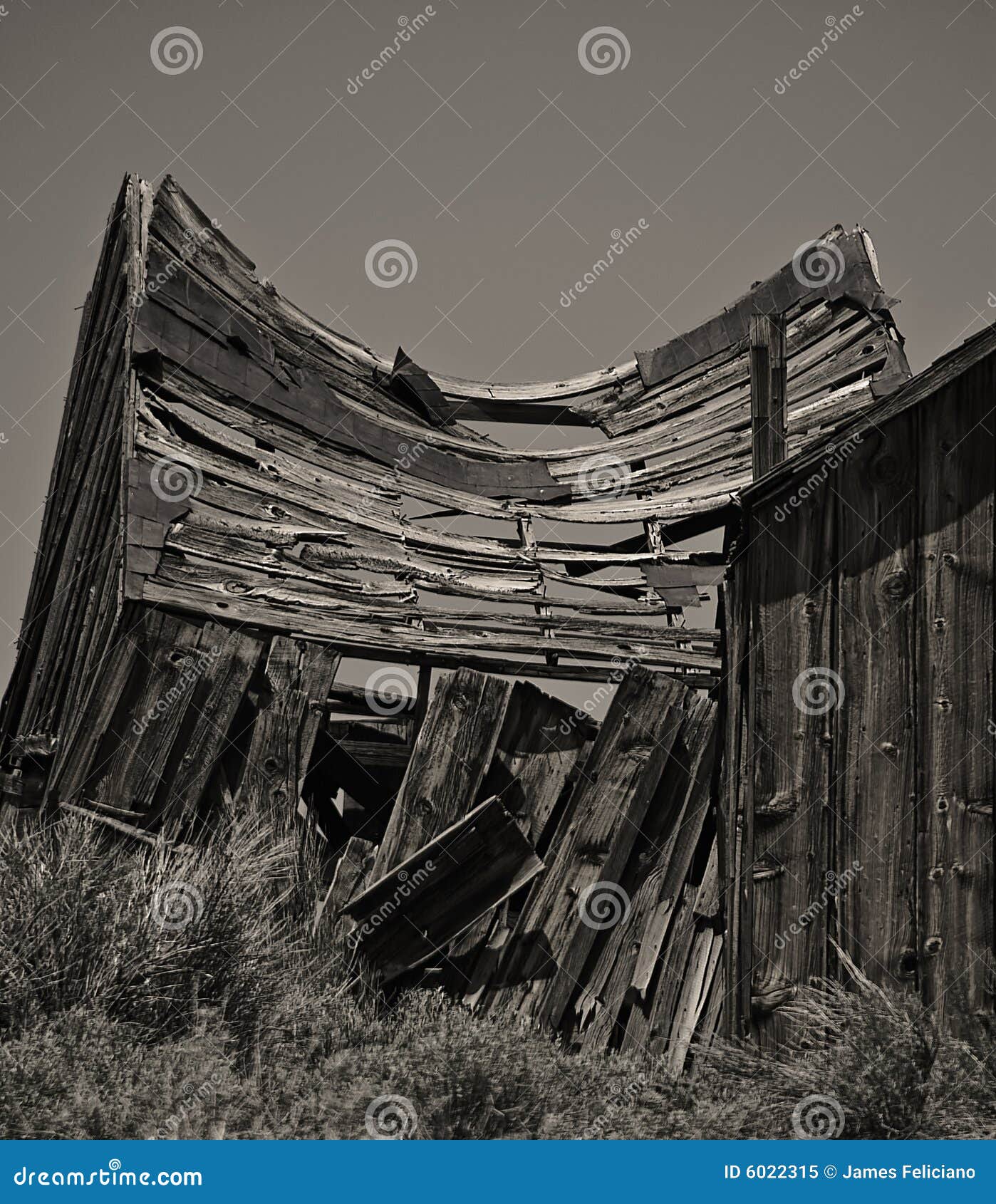 De Keet van Swayback stock afbeelding. Image of reizen - 6022315