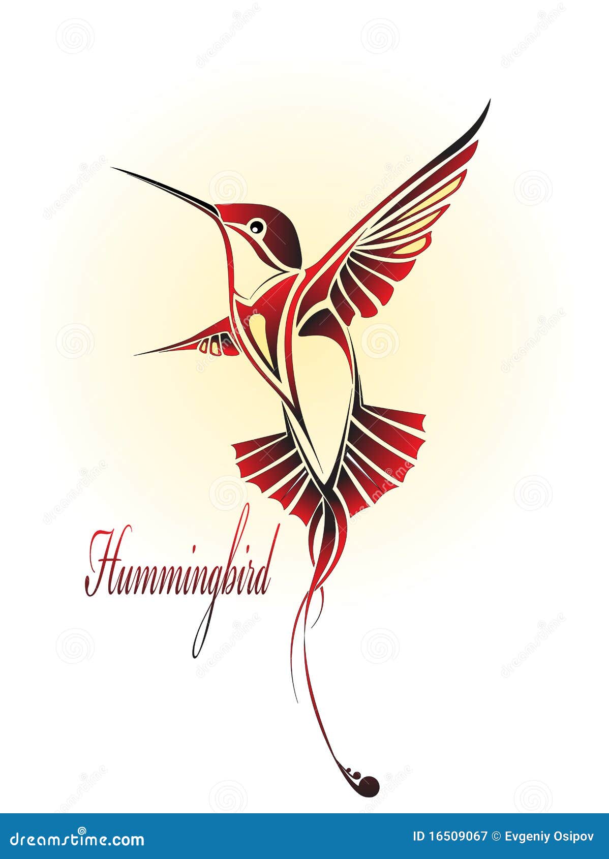 De kleur van de kolibrie vector illustratie. Illustration of geïsoleerd ...