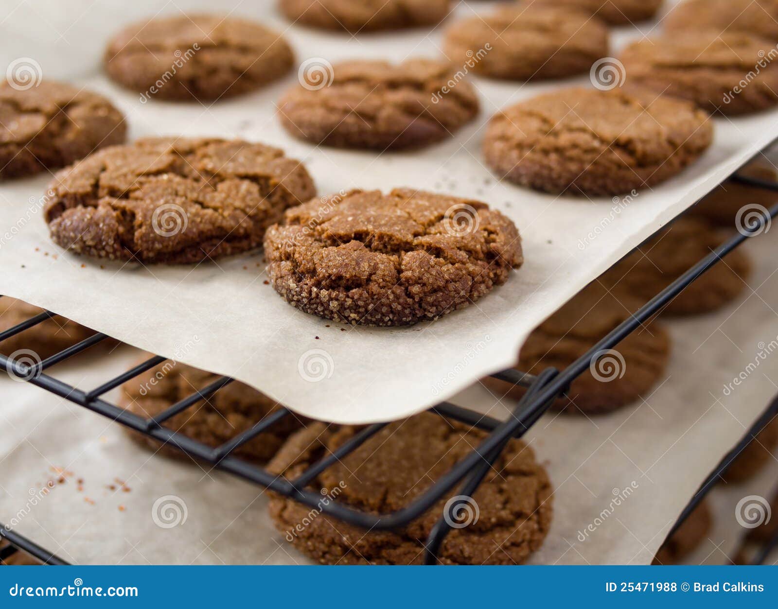 De koekjes van het baksel stock foto. Image of kruid - 25471988