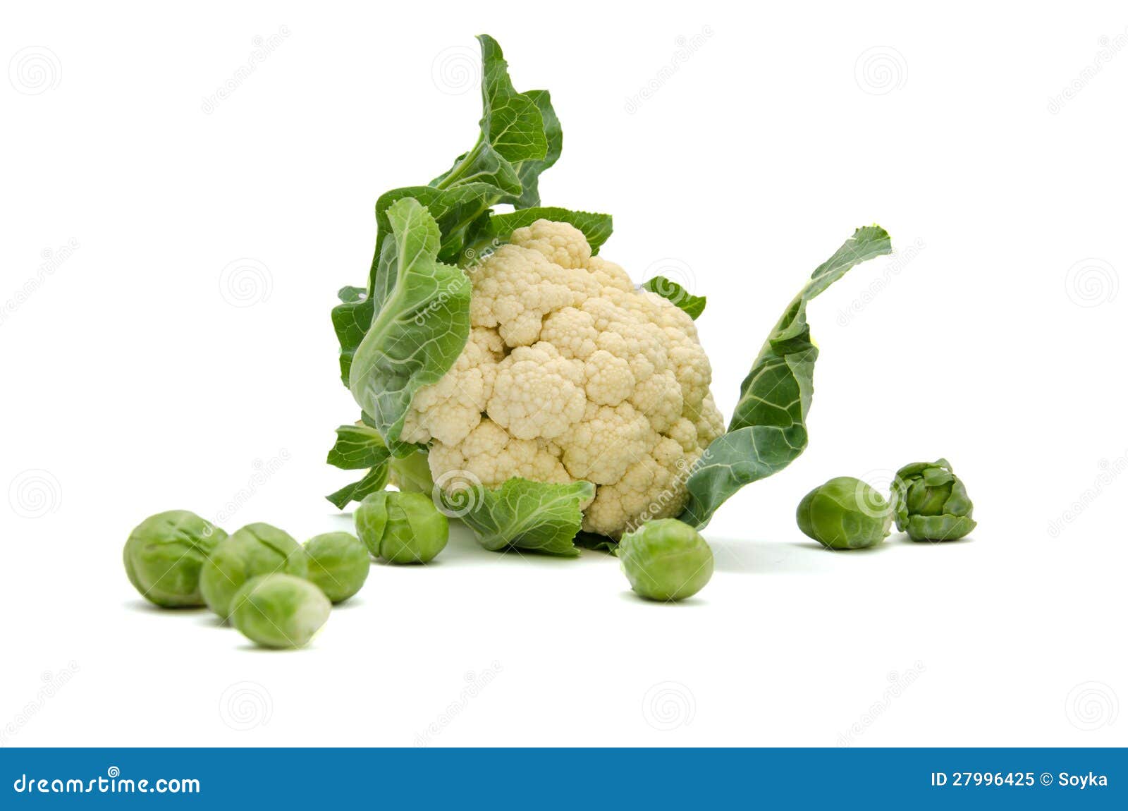 De kool van de bloemkool stock afbeelding. Image of steel - 27996425