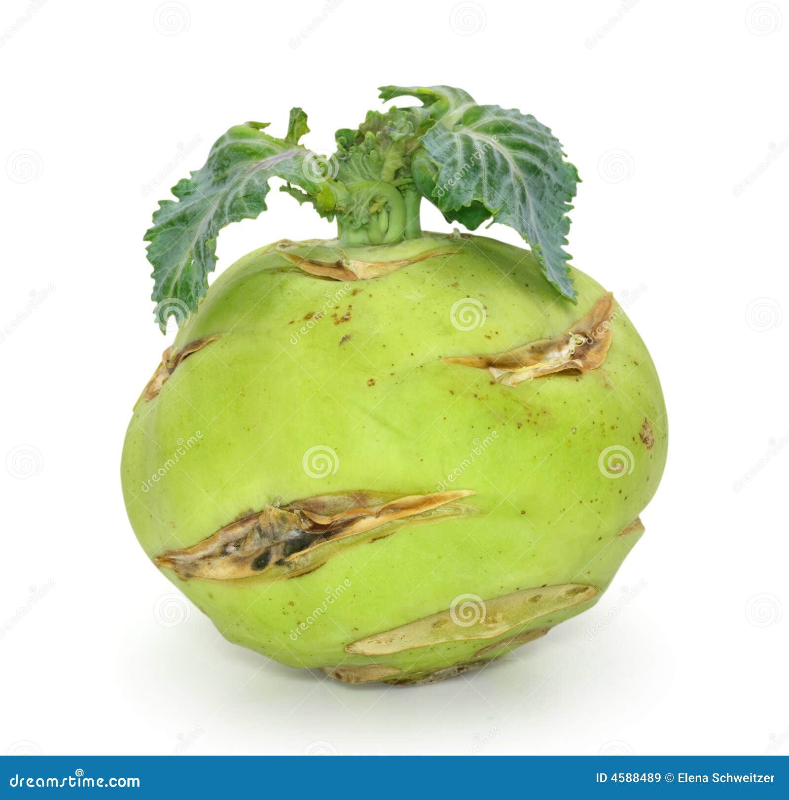 De kool van de koolraap stock afbeelding. Image of vegetariër - 4588489