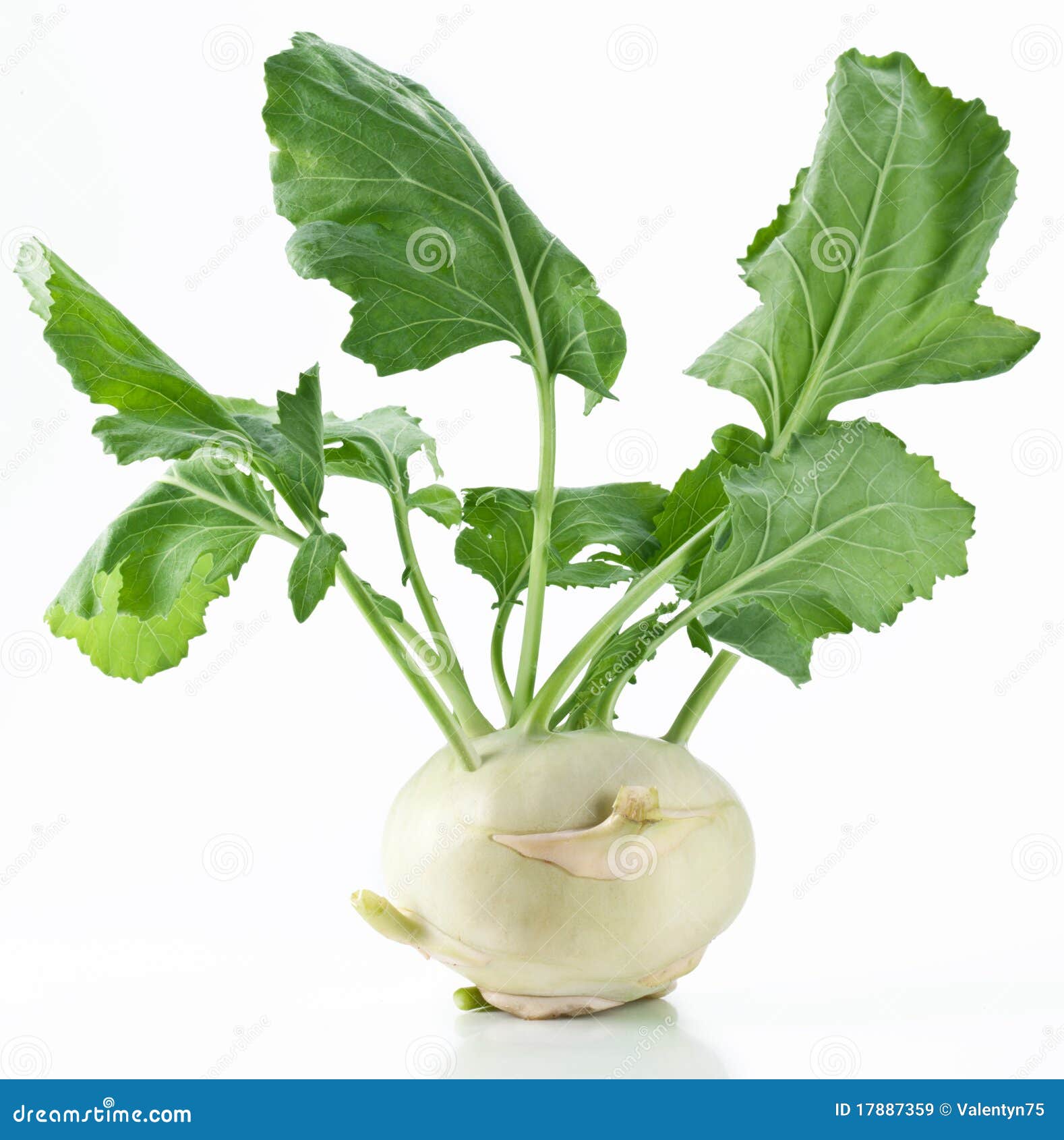 De Koolraap Van De Kool Op Een Wit Stock Afbeelding - Image of landbouw ...