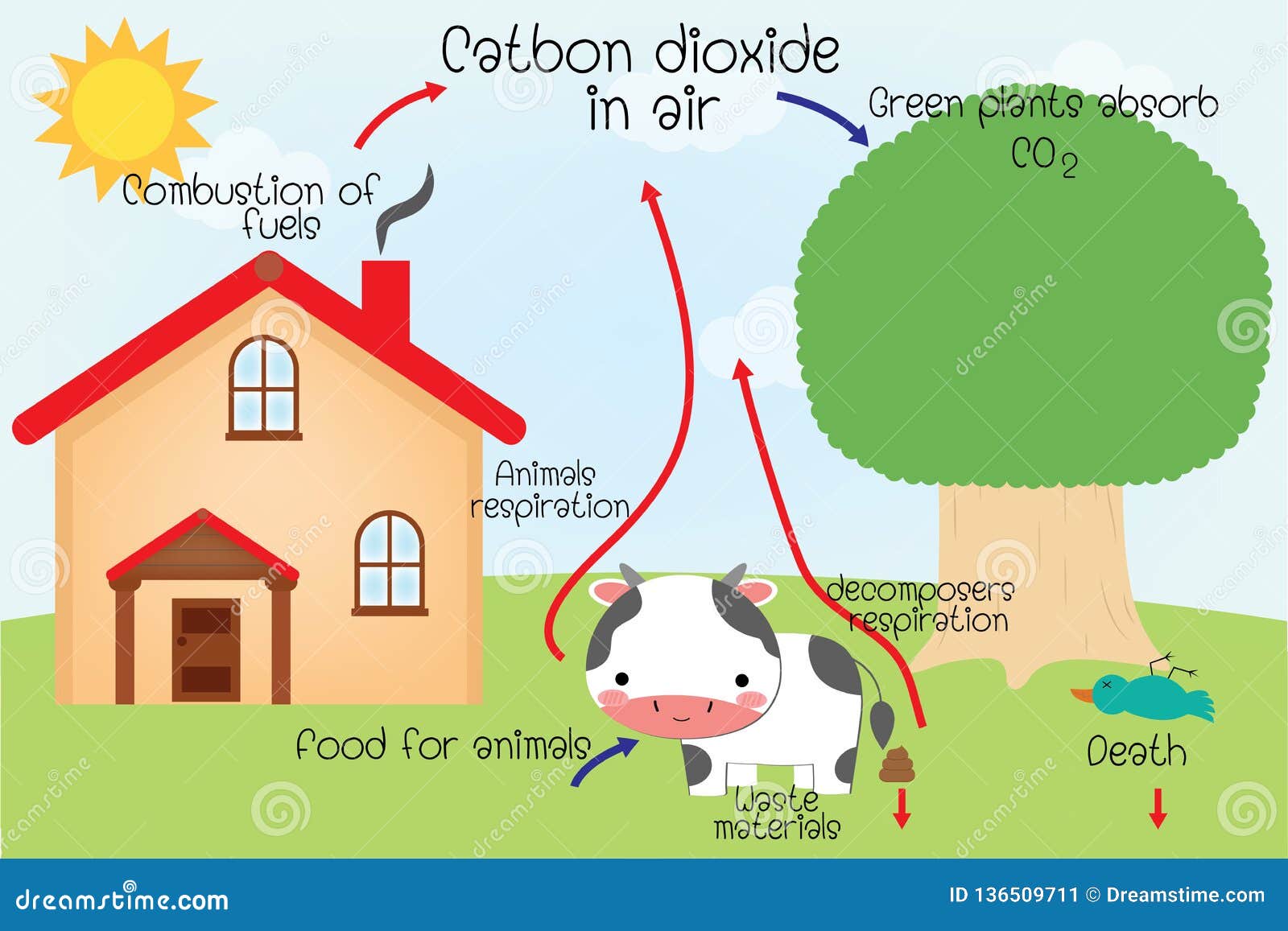 De Koolstofkringloop vector illustratie. Illustration of voor - 136509711