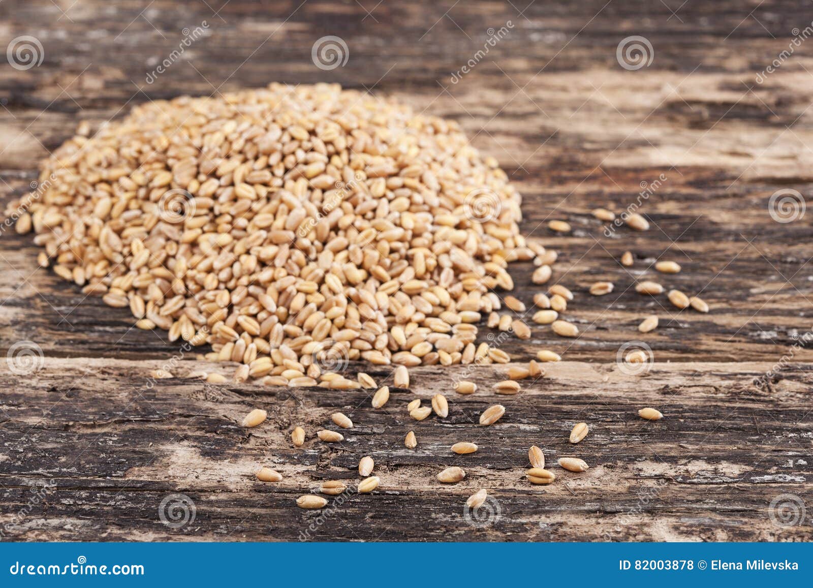 De korrel van de tarwe stock foto. Image of bloem, overvloed - 82003878