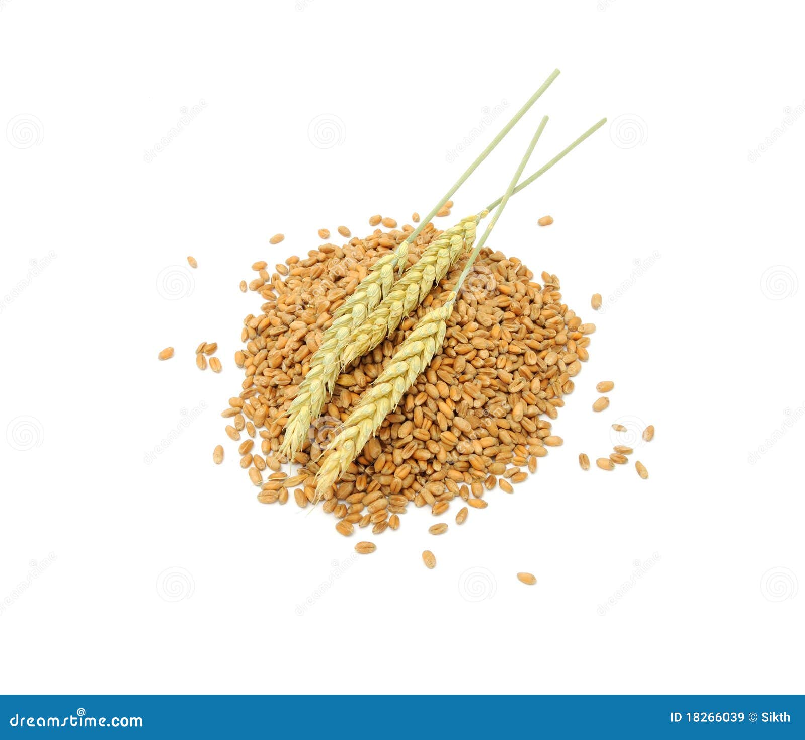 De Korrels Van De Tarwe Met Oren Stock Afbeelding - Image of organisch ...