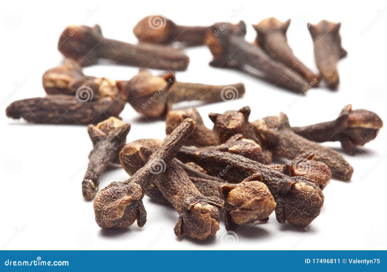 De Kruidnagels Van Het Kruid Op Wit. Stock Afbeelding - Image of ...