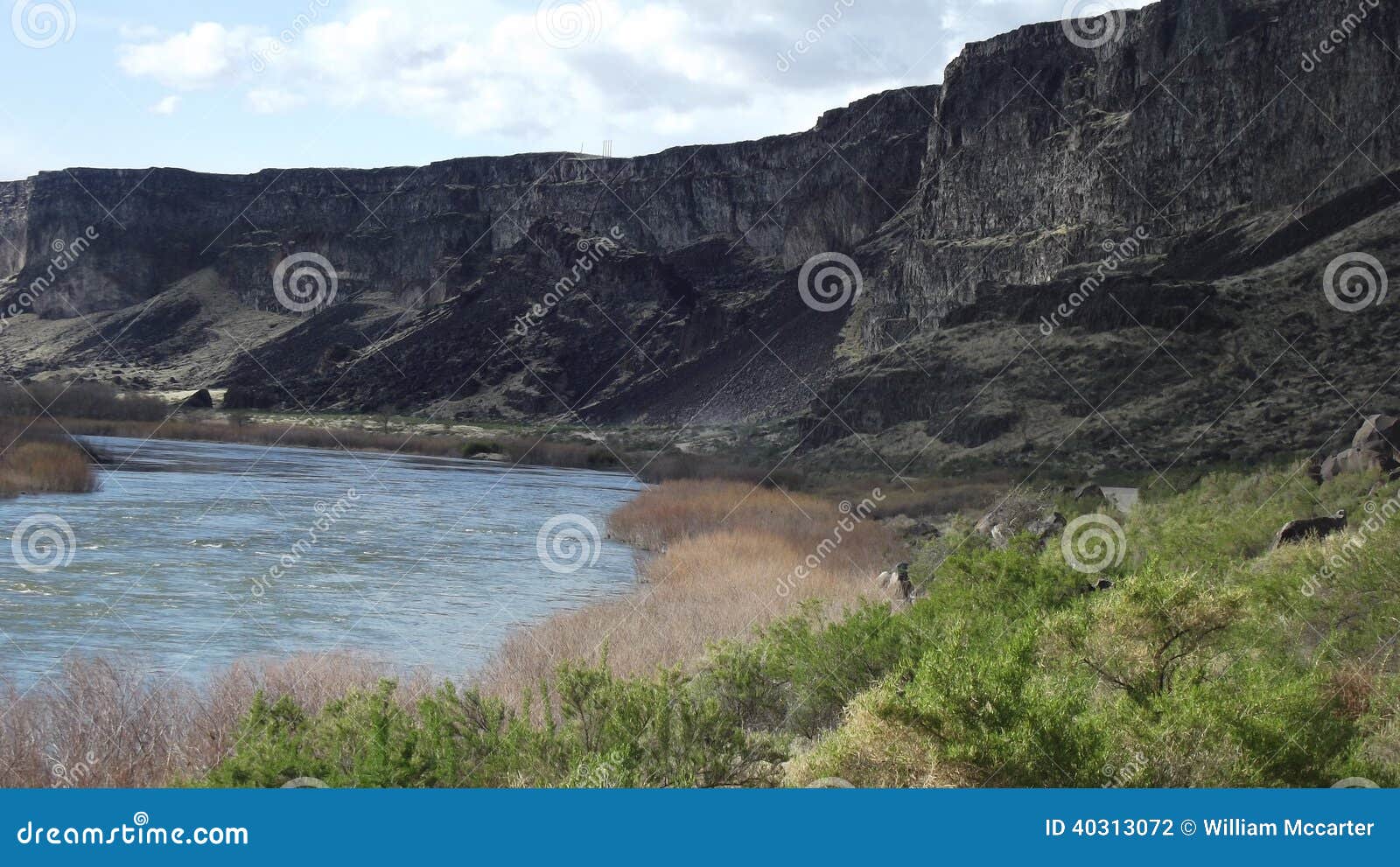 De Lagere Canion Van De Slangrivier Stock Foto - Image of borstel ...