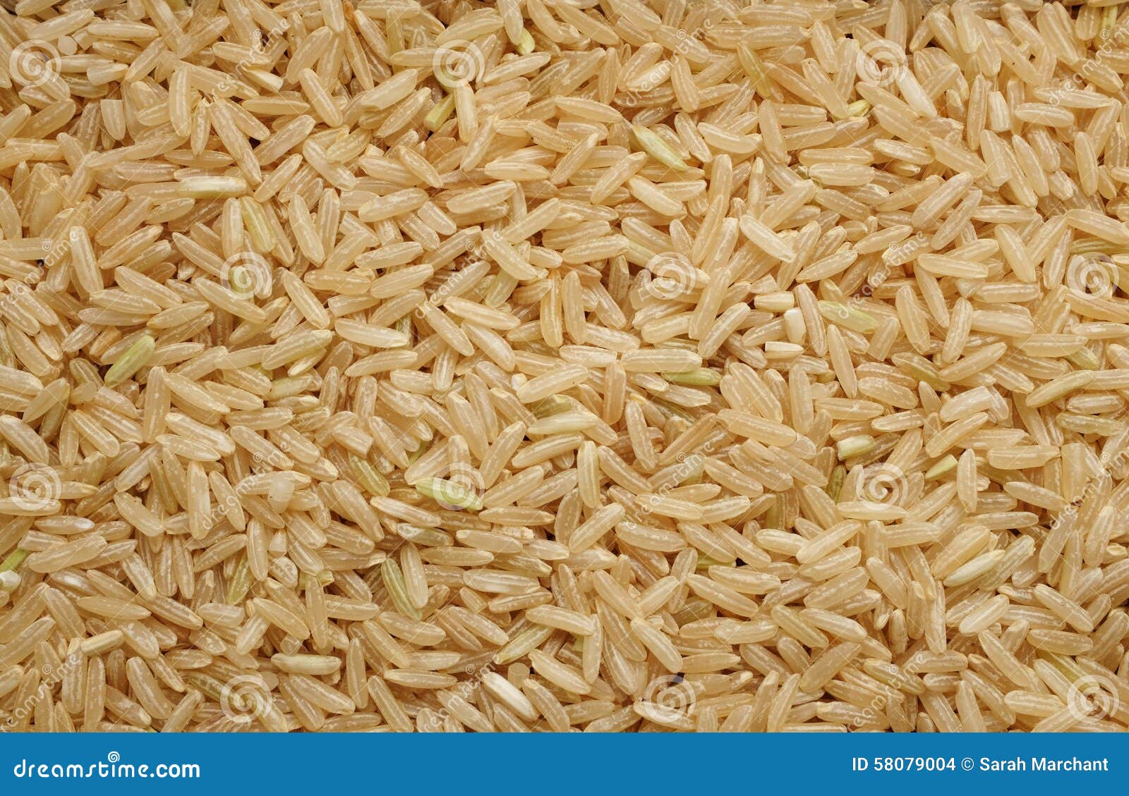 De Lange Achtergrond Van De Korrel Ongepelde Rijst Stock Foto - Image ...