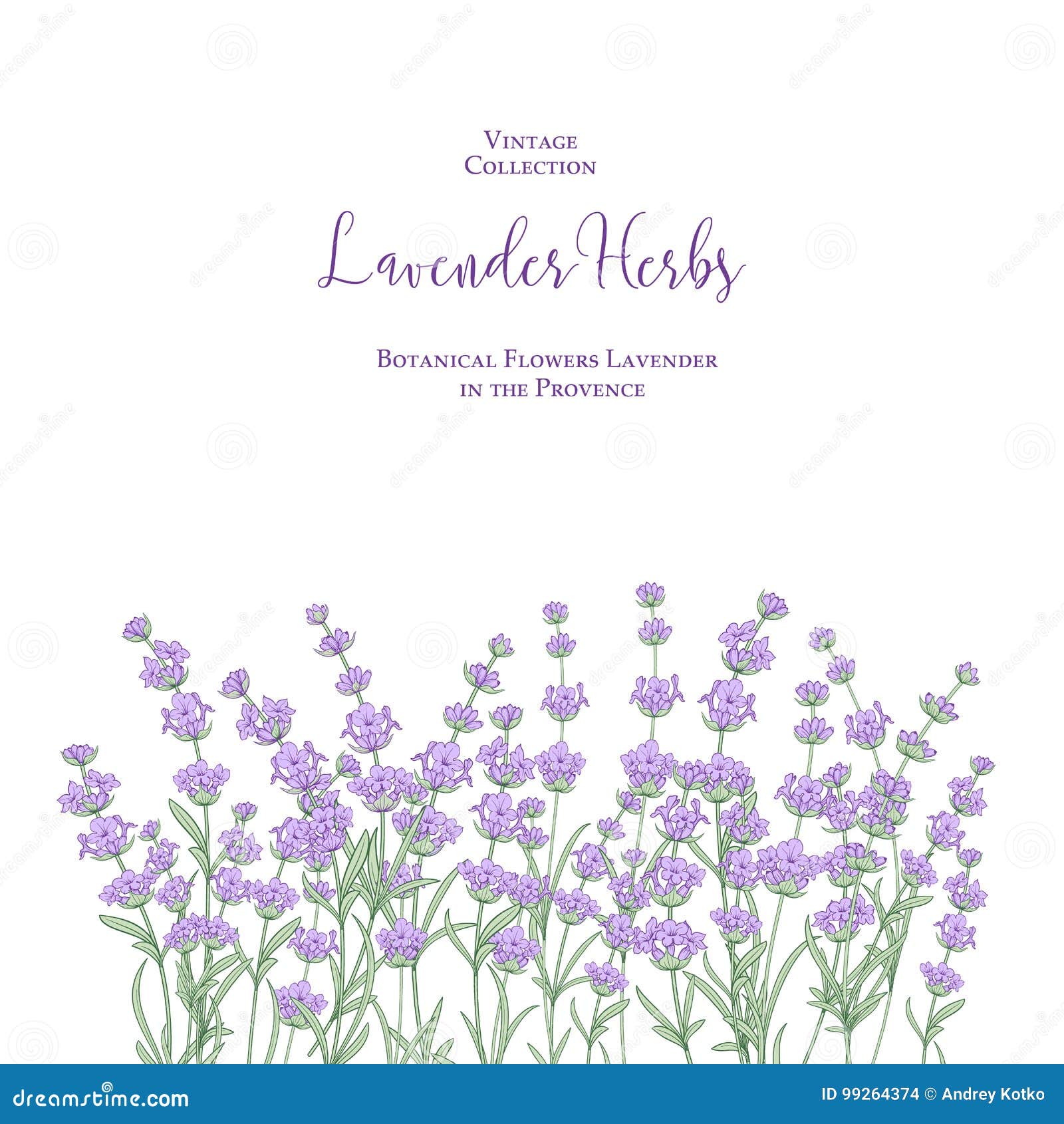 De lavendel elegante kaart vector illustratie. Illustration of ...