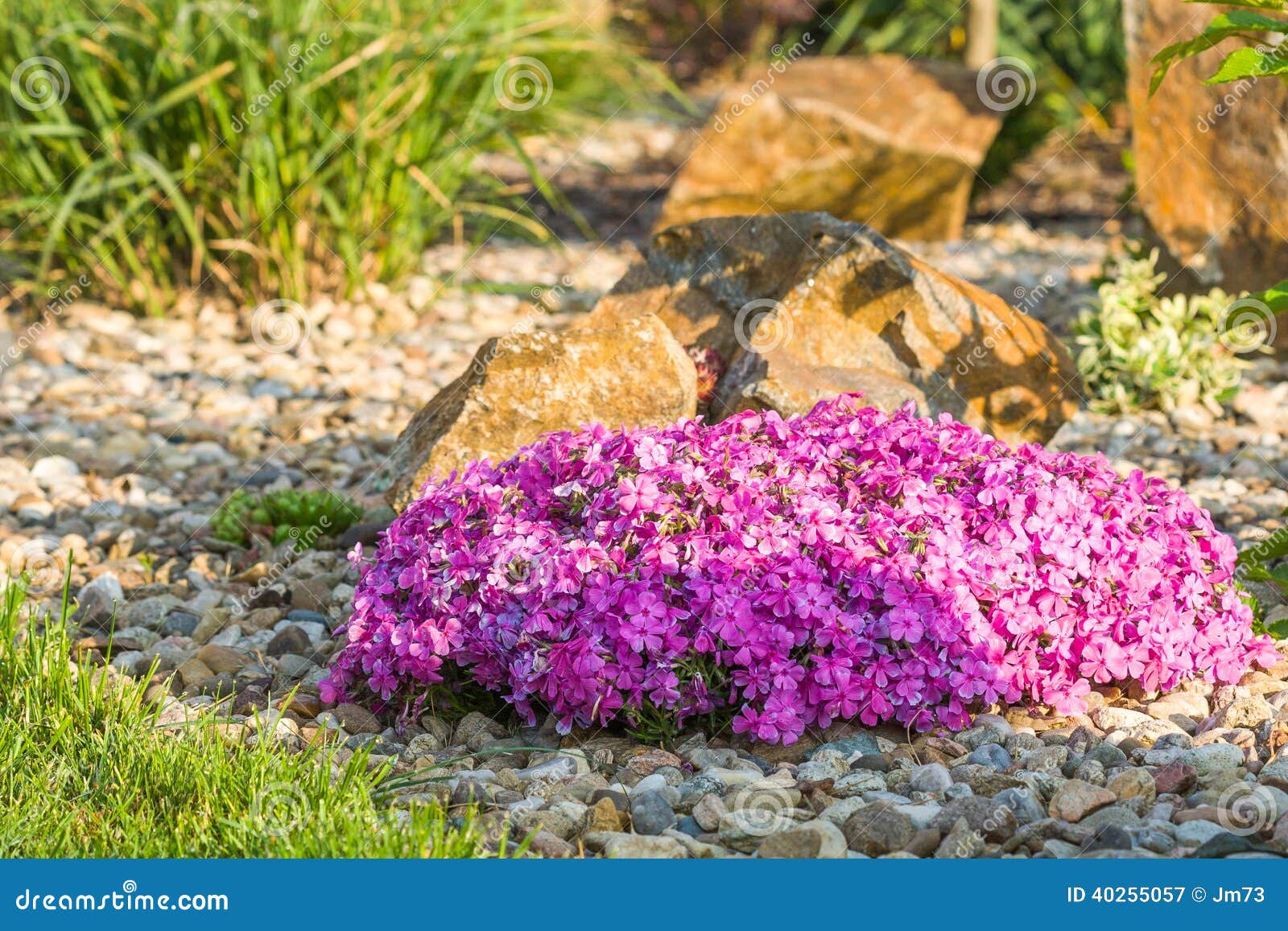 De Lentetuin Met Installaties, Bloemen En Gras Stock Afbeelding - Image ...
