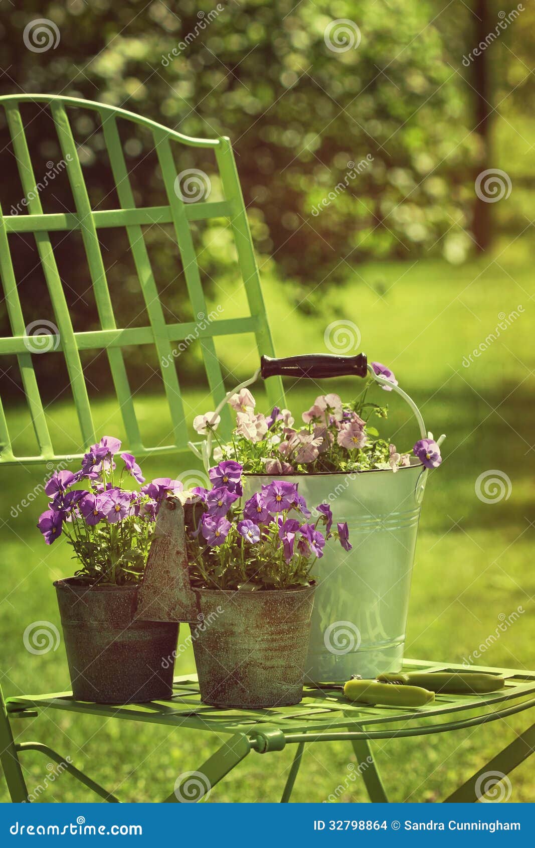 De Lenteviooltjes in Potten Op Tuinstoel Stock Foto - Image of ...