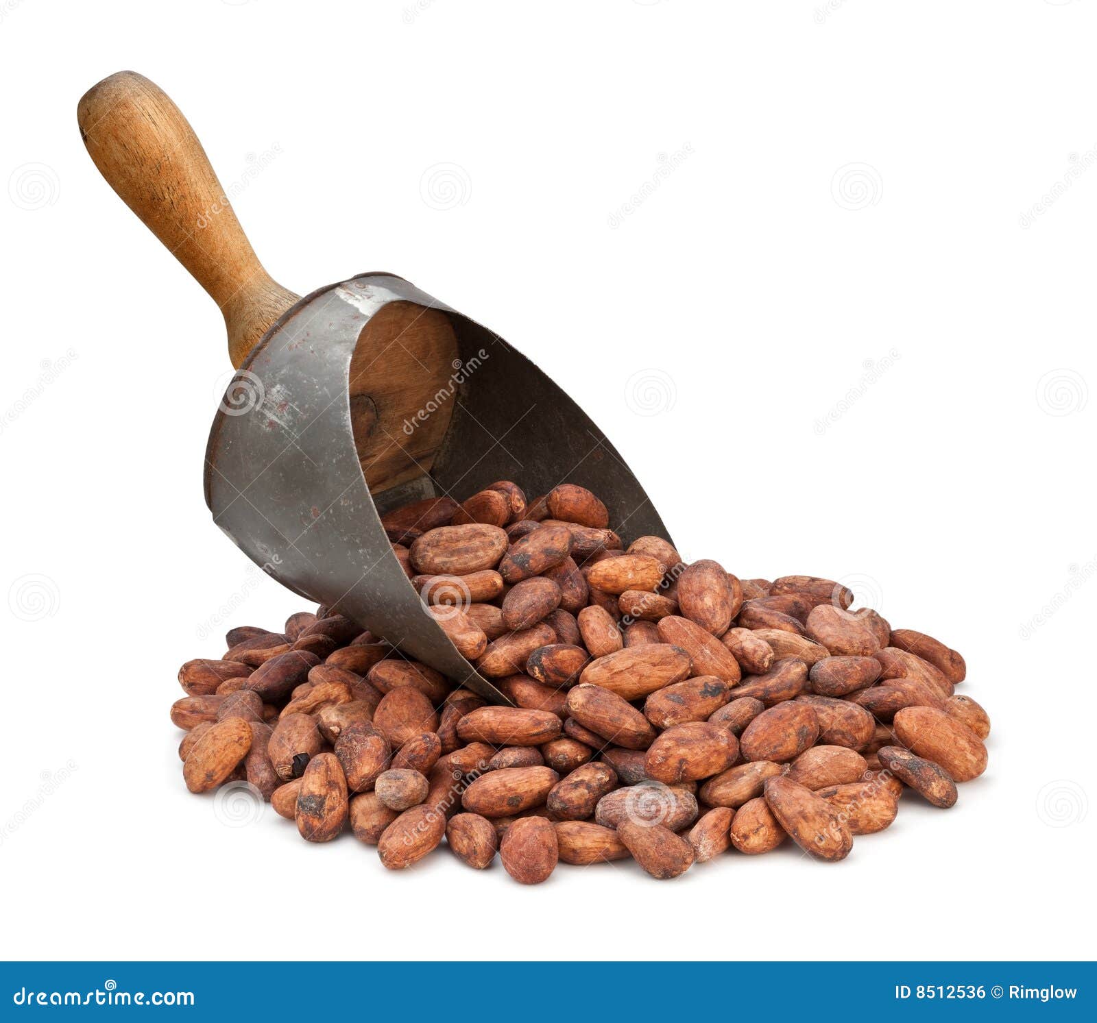 De Lepel van de Cacaoboon stock foto. Image of hout, geloven - 8512536