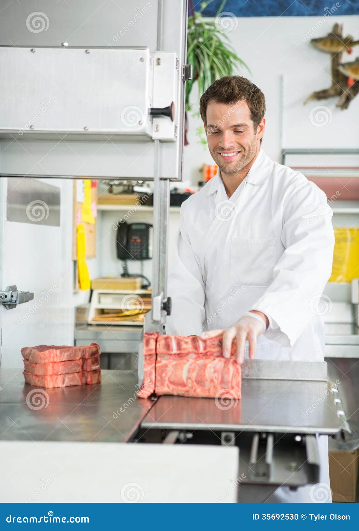 De Lintzaag Van Slagerscutting Meat on Stock Foto - Image of portret ...