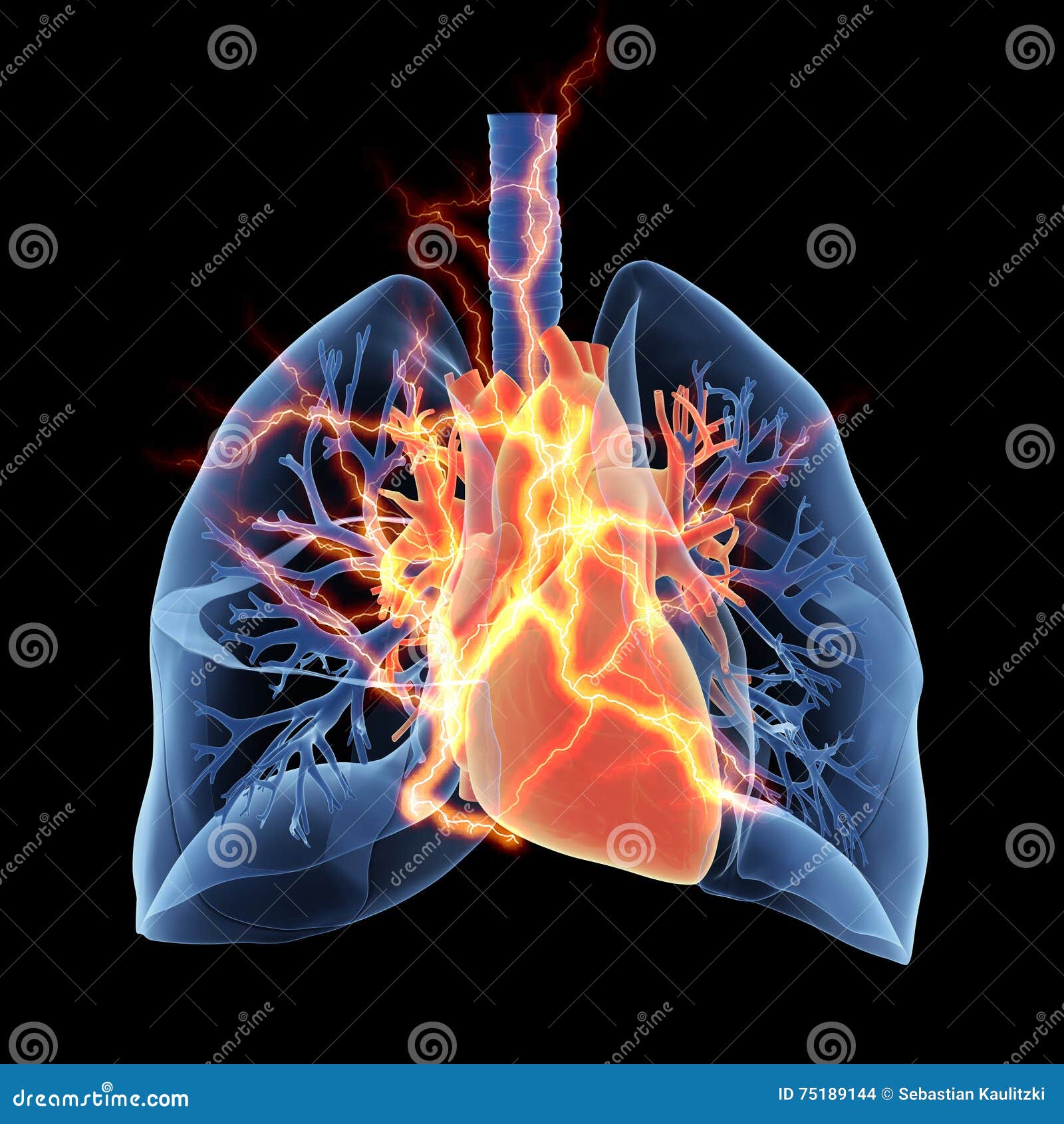 De longen en het hart stock illustratie. Illustration of aanval - 75189144
