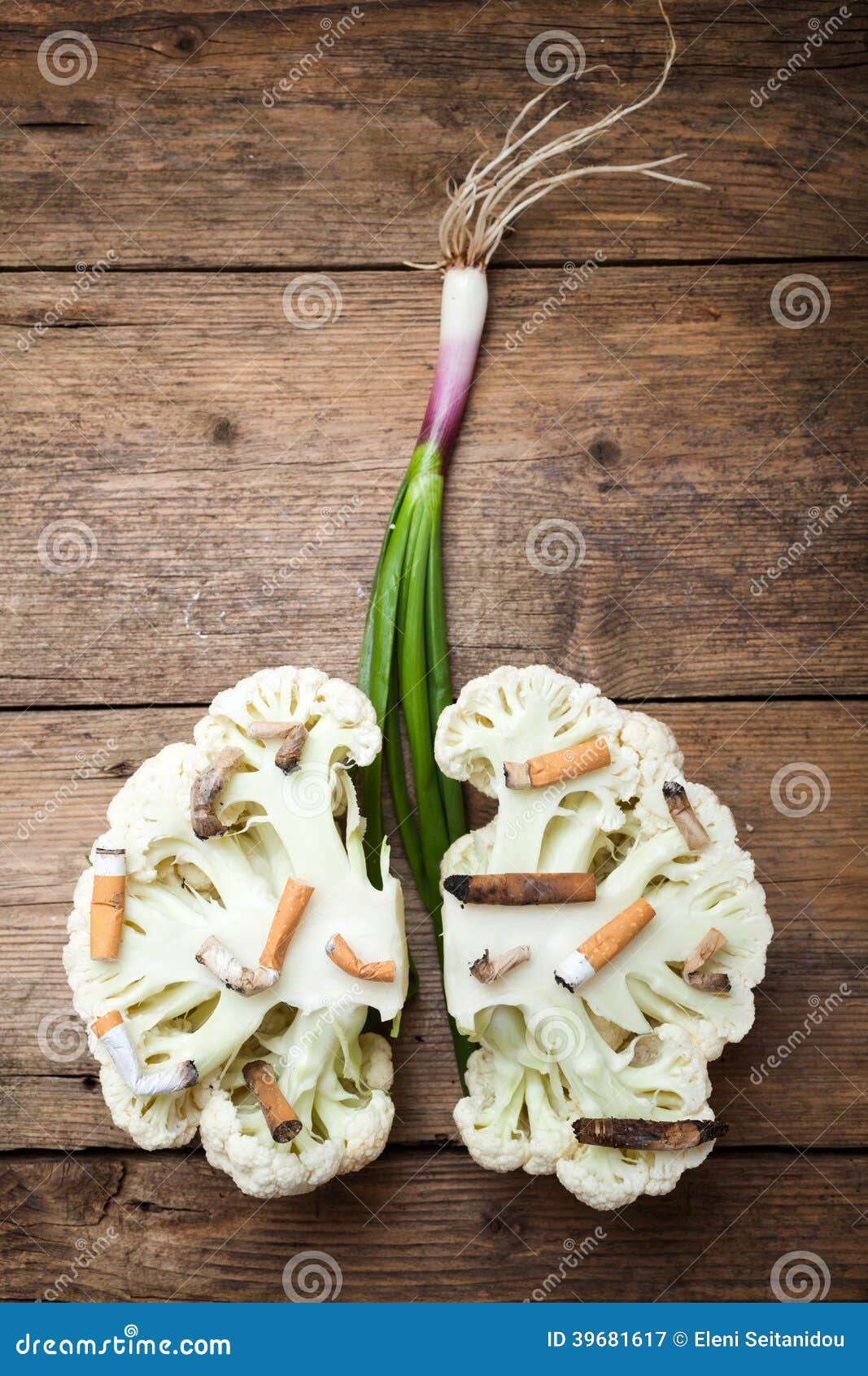 De longen van de roker stock afbeelding. Image of gezond - 39681617