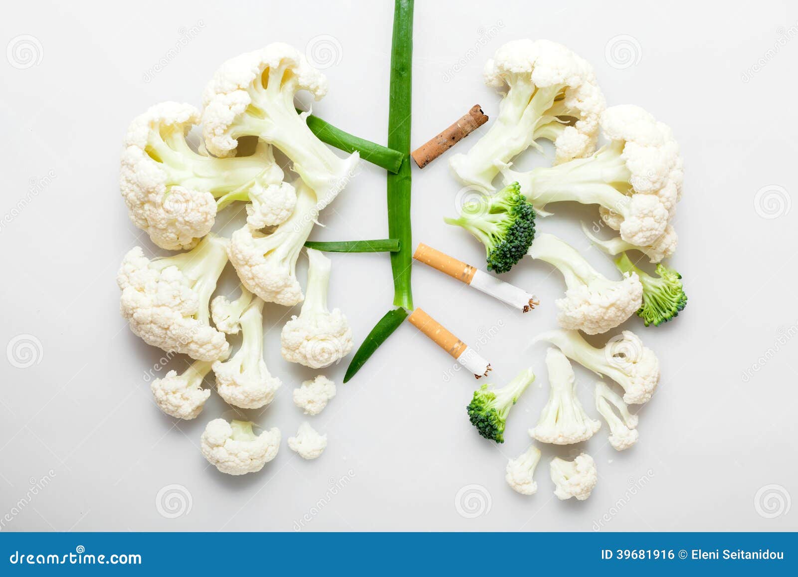 De longen van de roker stock foto. Image of examen, gezondheid - 39681916