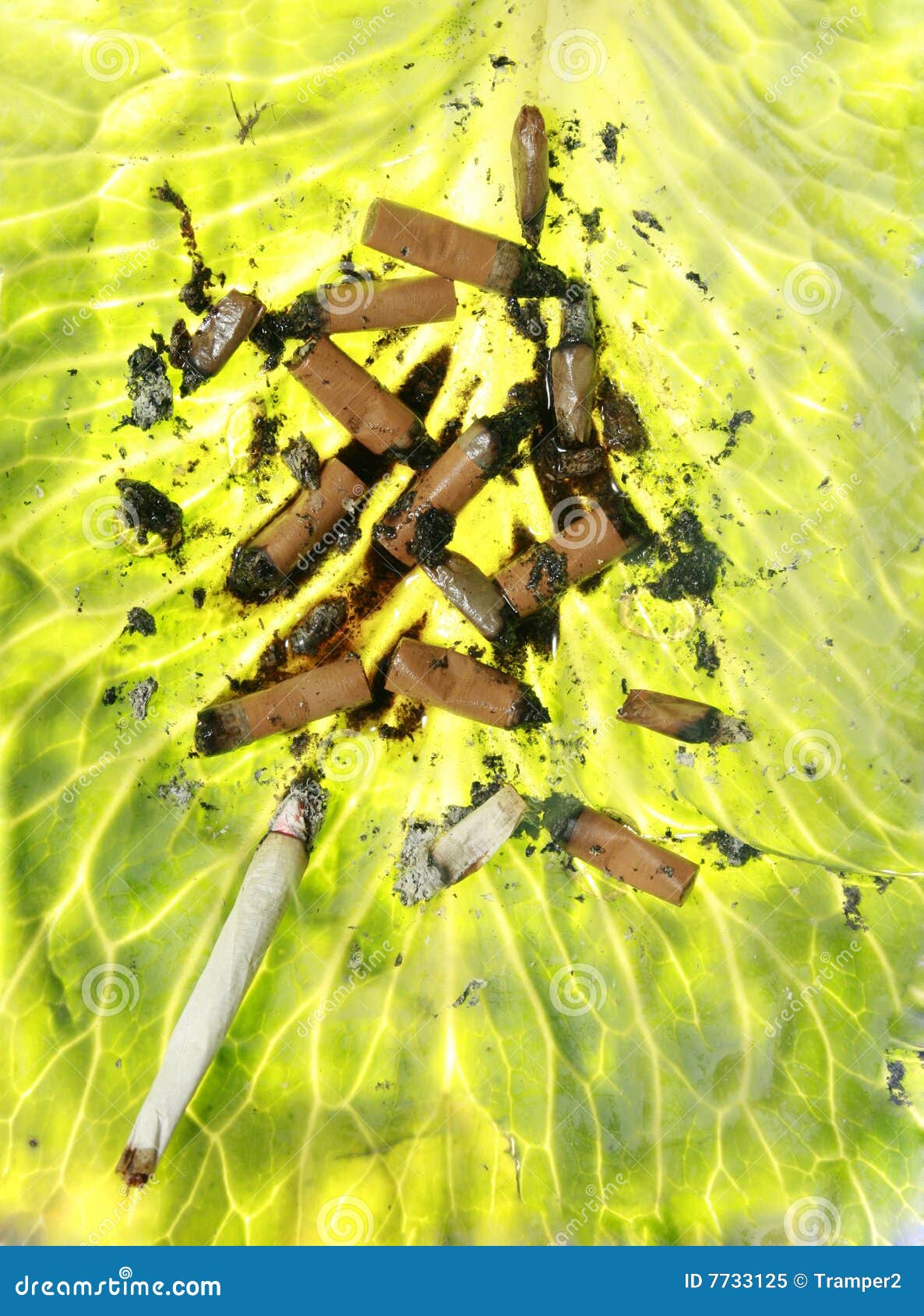 De longen van rokers stock afbeelding. Image of asbakje - 7733125