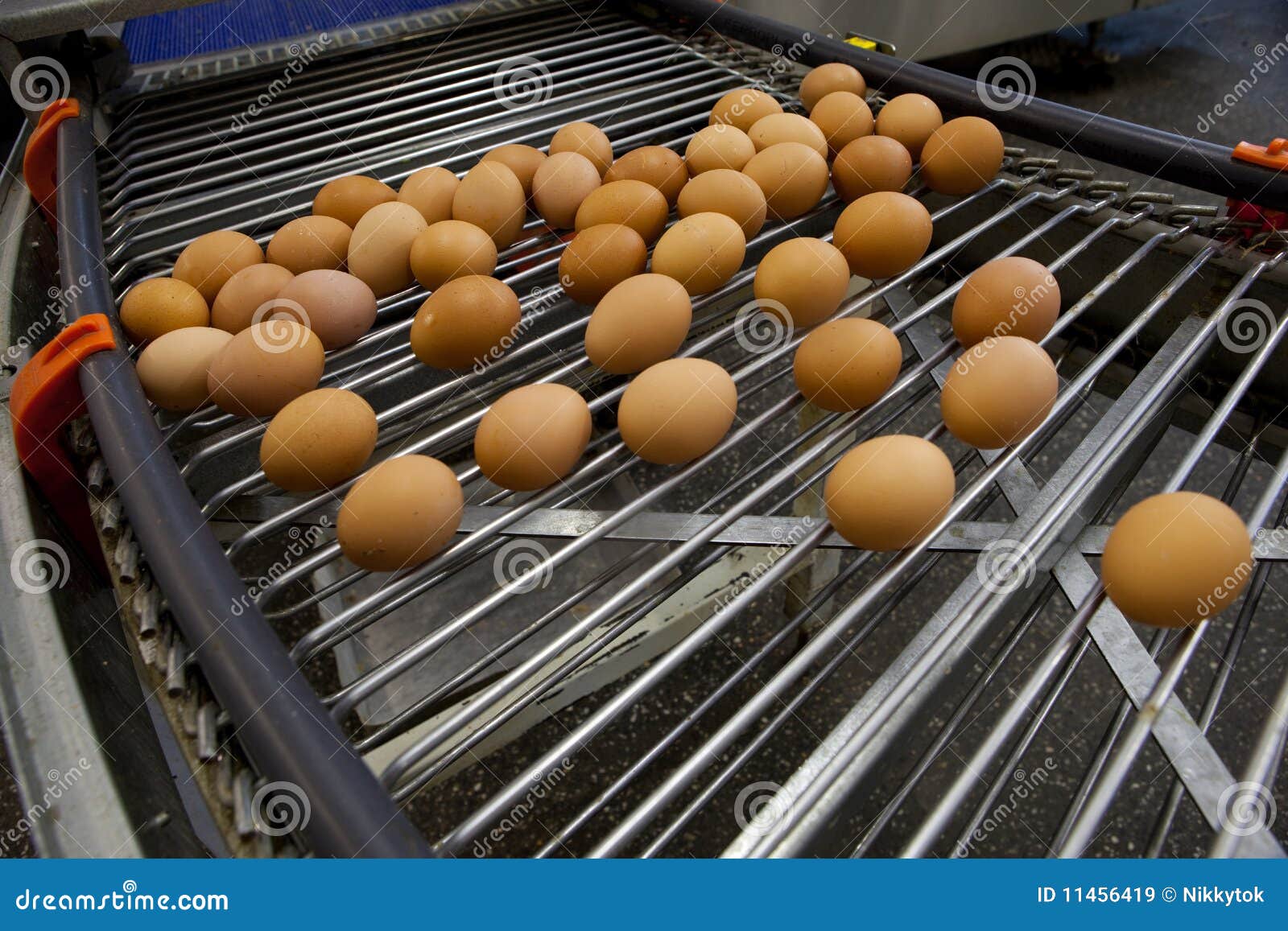 De lopende band van eieren stock afbeelding. Image of massa - 11456419