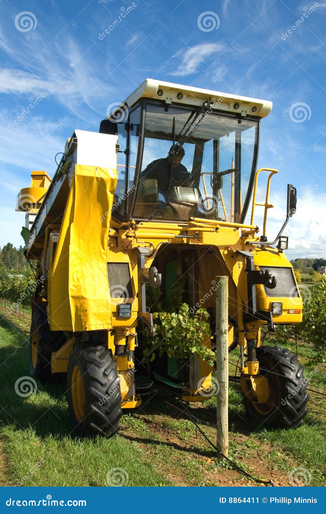 De Maaimachine Van De Druif Stock Afbeelding - Image of industrie ...