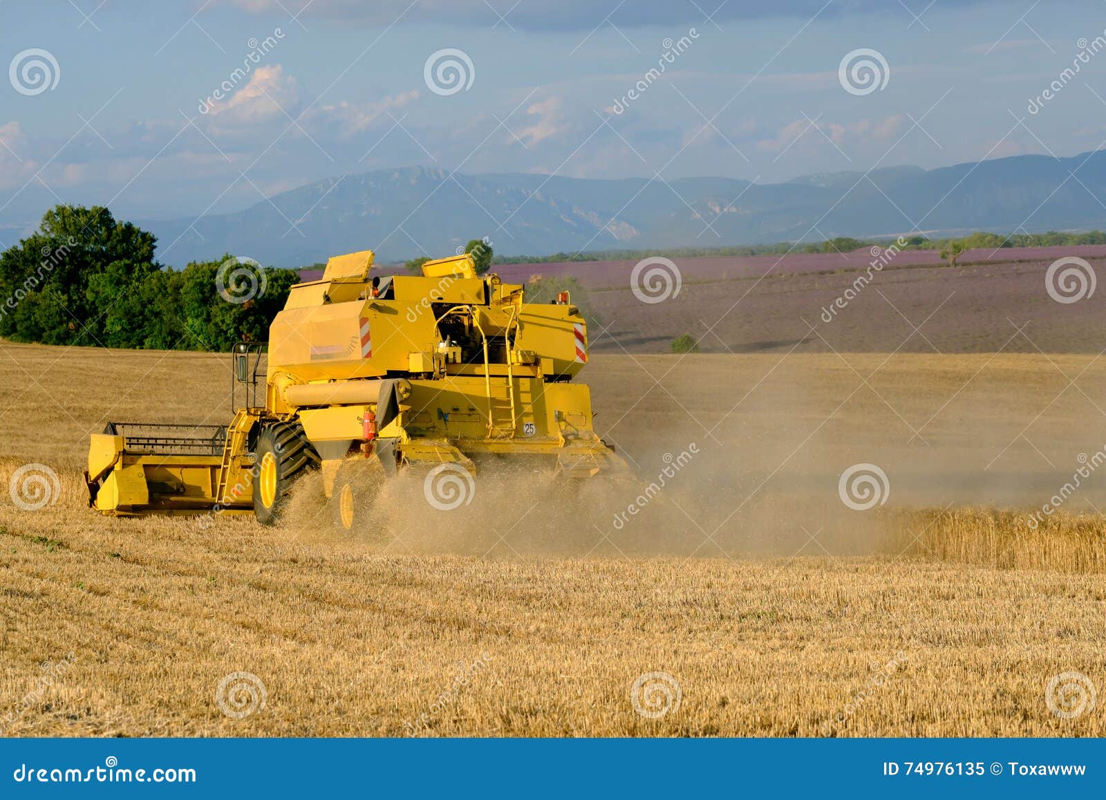 De Maaimachine Verzamelt Het Tarwegewas Stock Afbeelding - Image of ...