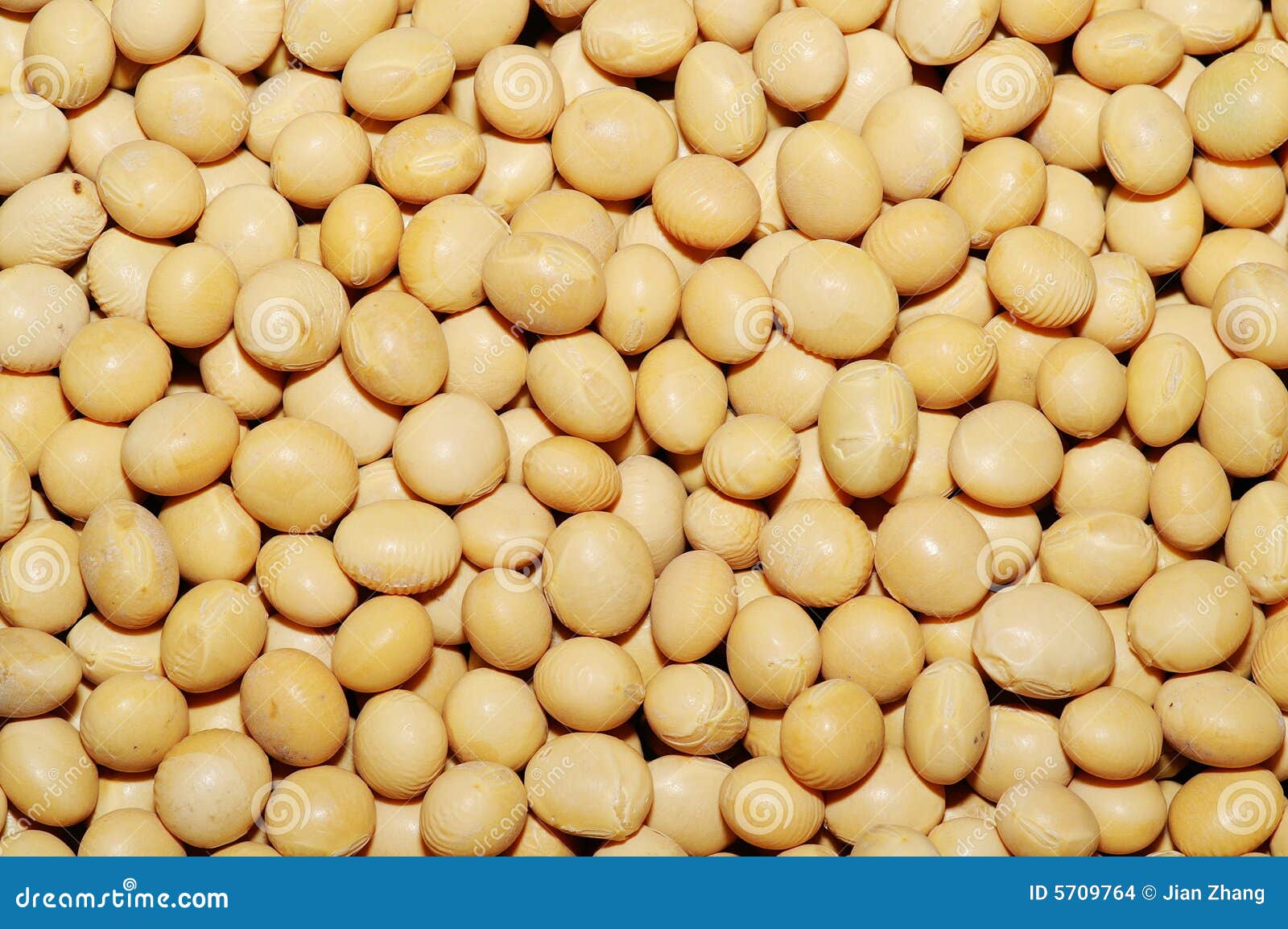 De Macro van de sojaboon stock foto. Image of oosters - 5709764