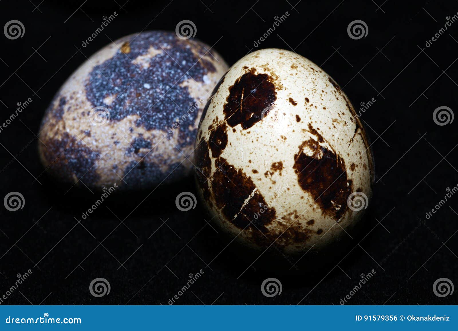 De Macromening Van Het Vogelei Stock Foto - Image of gezond, ovaal ...