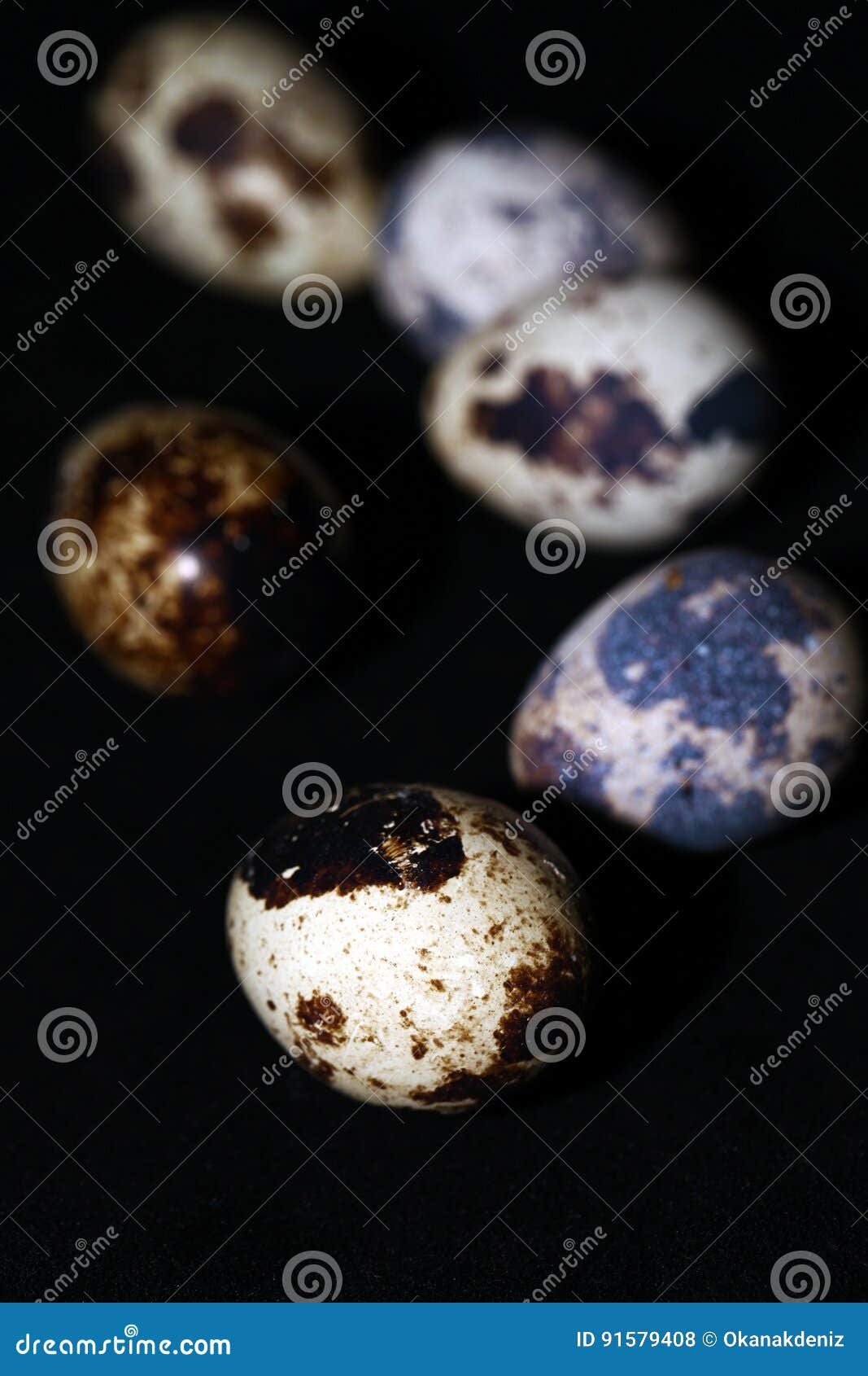 De Macromening Van Het Vogelei Stock Foto - Image of nave, patroon ...